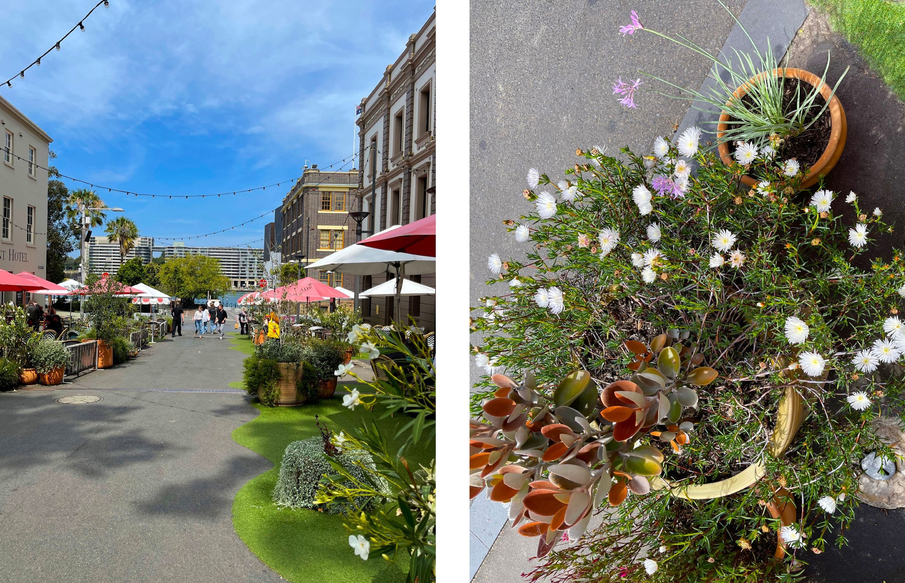 Jack Mundey Place & George Street Activation, The Rocks by Edge ...