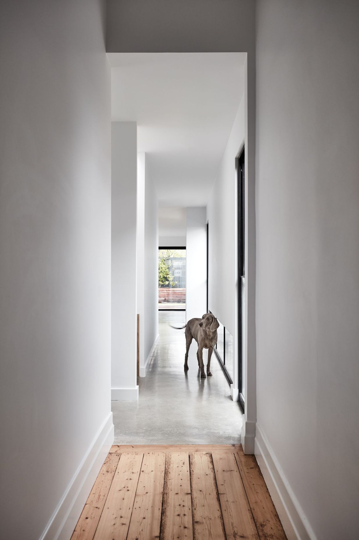 Stansell Street by Aych Architects | ArchiPro AU