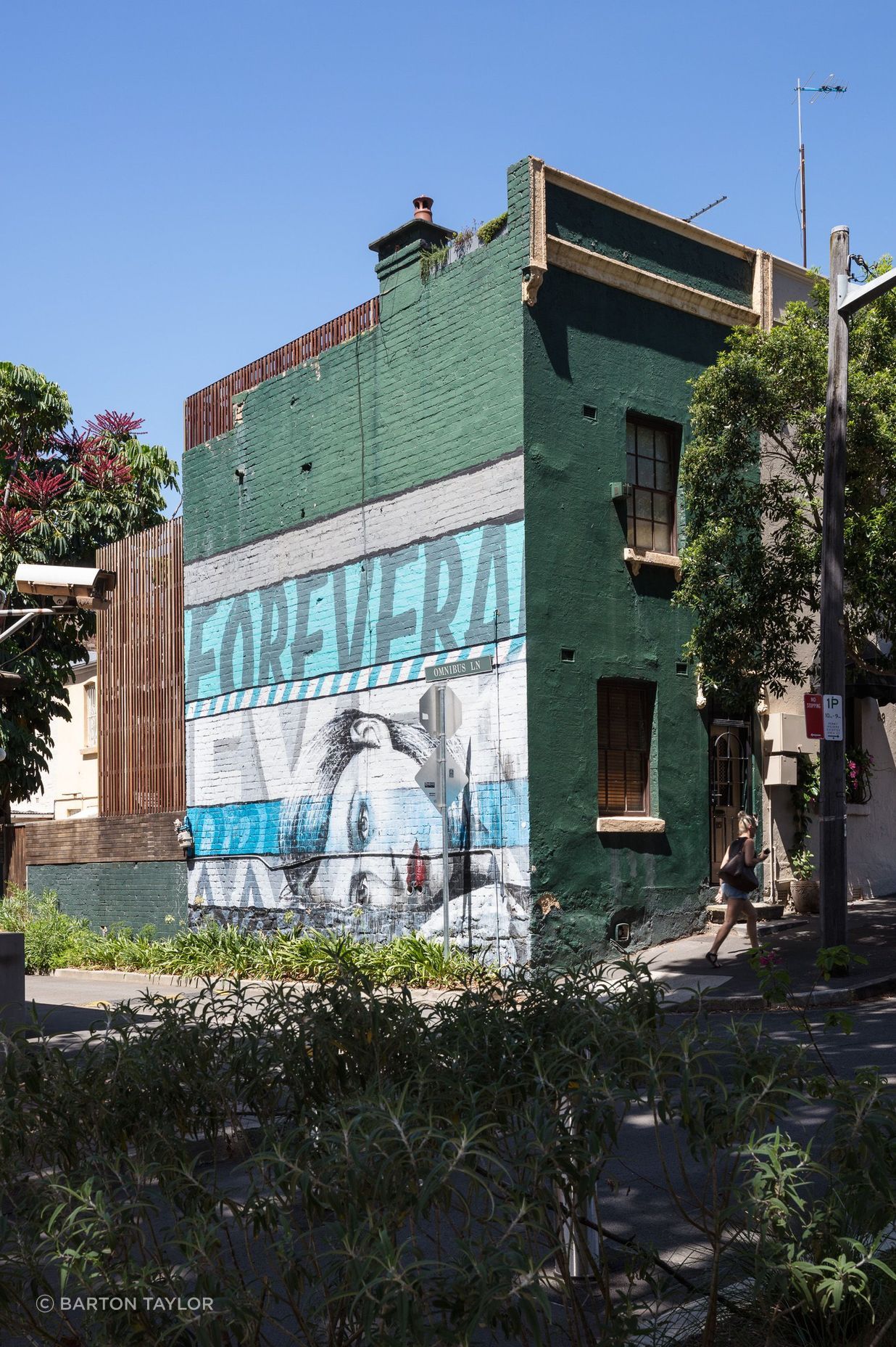 Play Roof by Alexander Symes Architect | ArchiPro AU