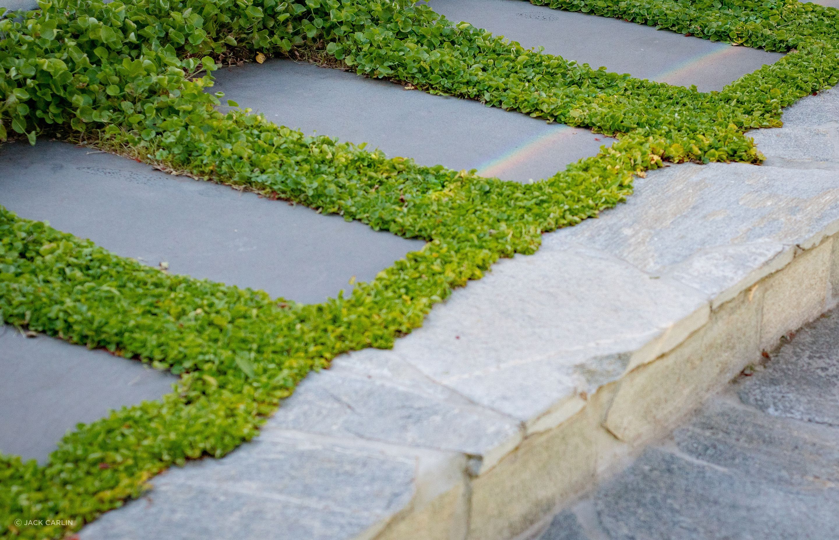 Hawthorn by Andrew Plant Landscapes | ArchiPro AU