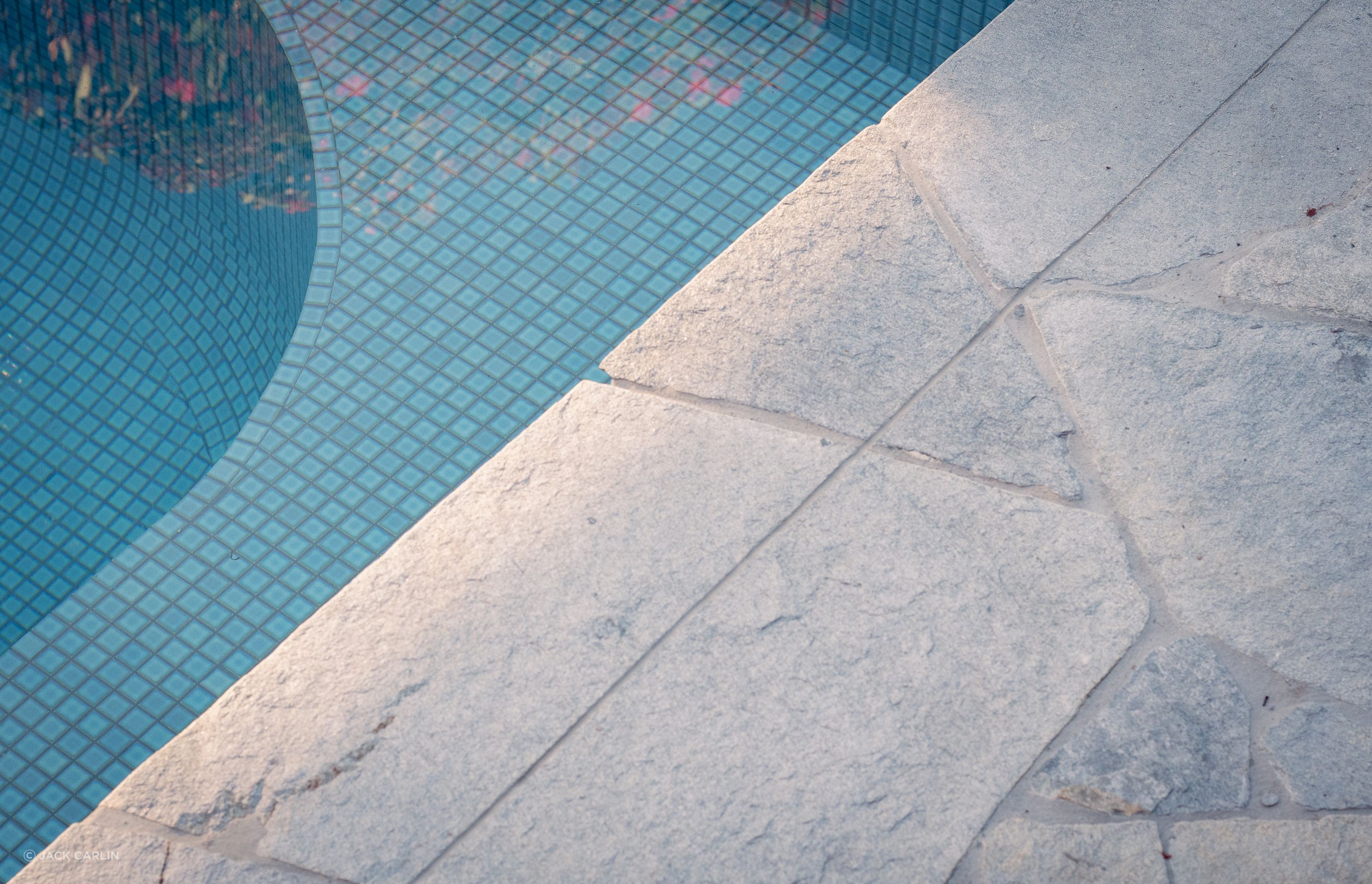 Hawthorn by Andrew Plant Landscapes | ArchiPro AU