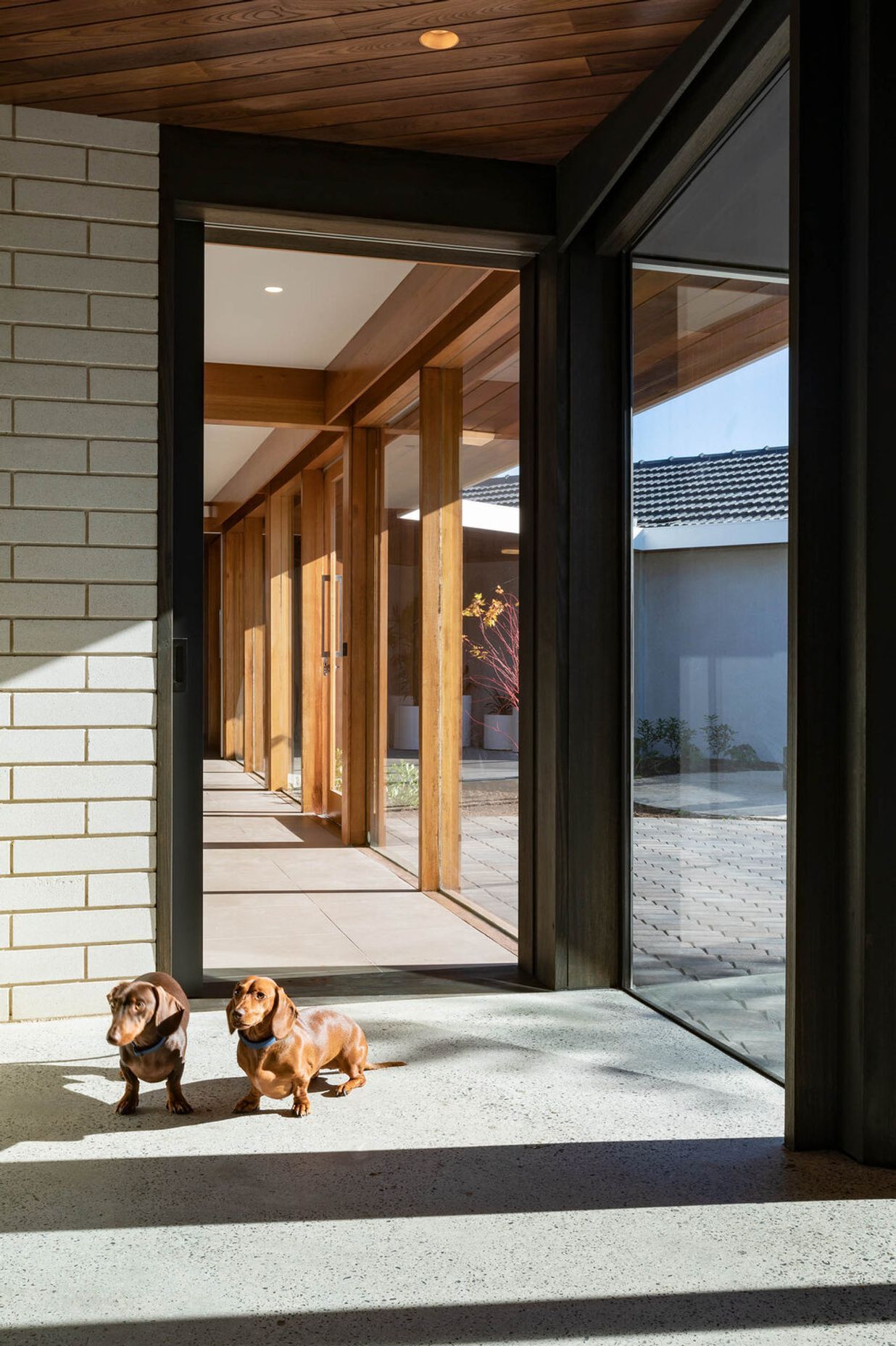 Sagar House by Michael Ong Design Office | ArchiPro AU