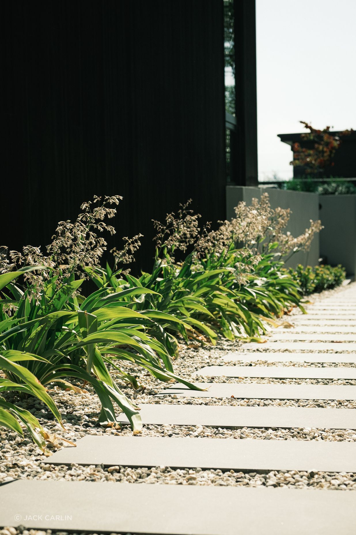 Hawthorn Two by Andrew Plant Landscapes | ArchiPro AU