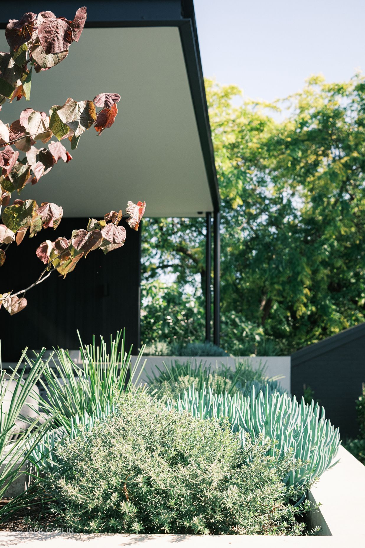 Hawthorn Two by Andrew Plant Landscapes | ArchiPro AU