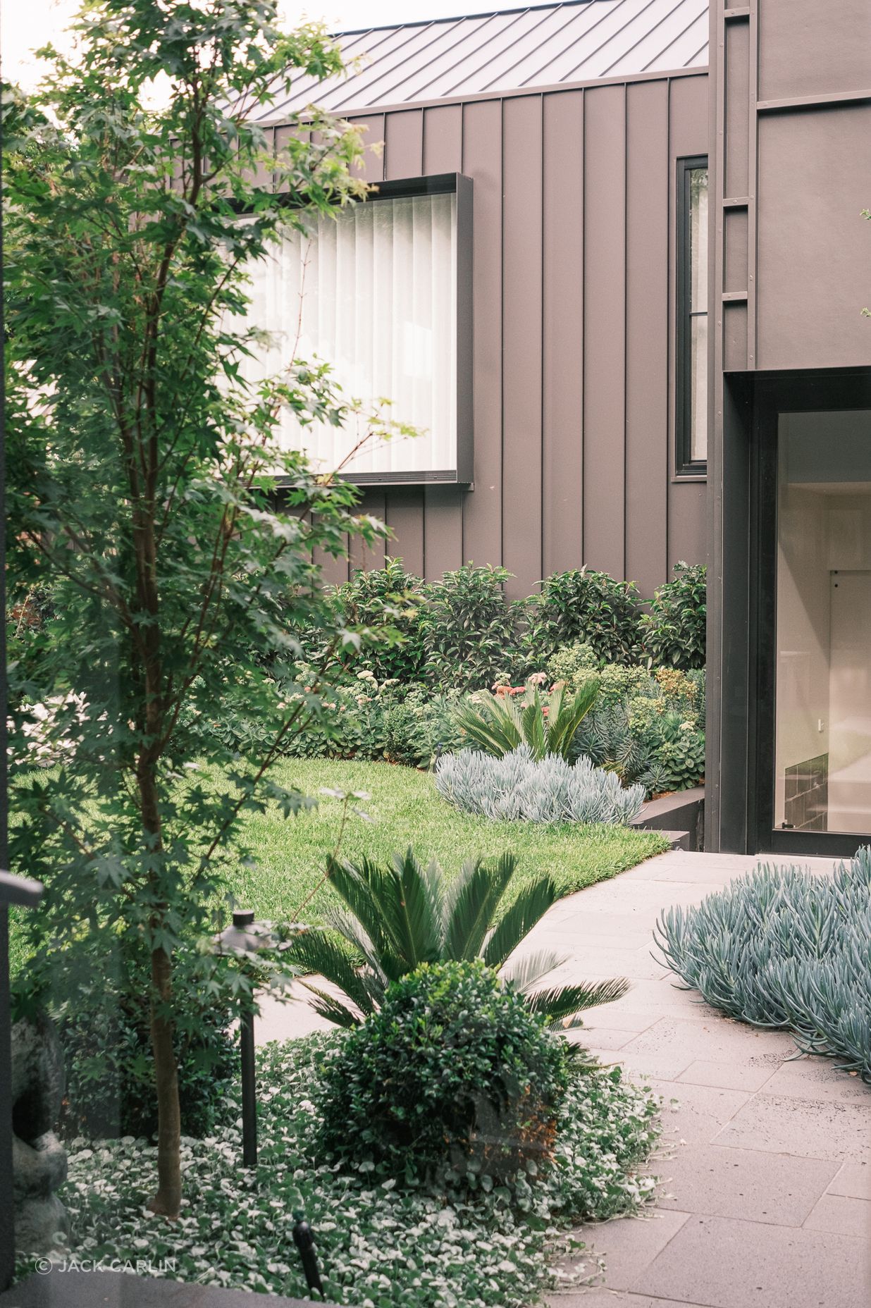 Prahran by Andrew Plant Landscapes | ArchiPro AU