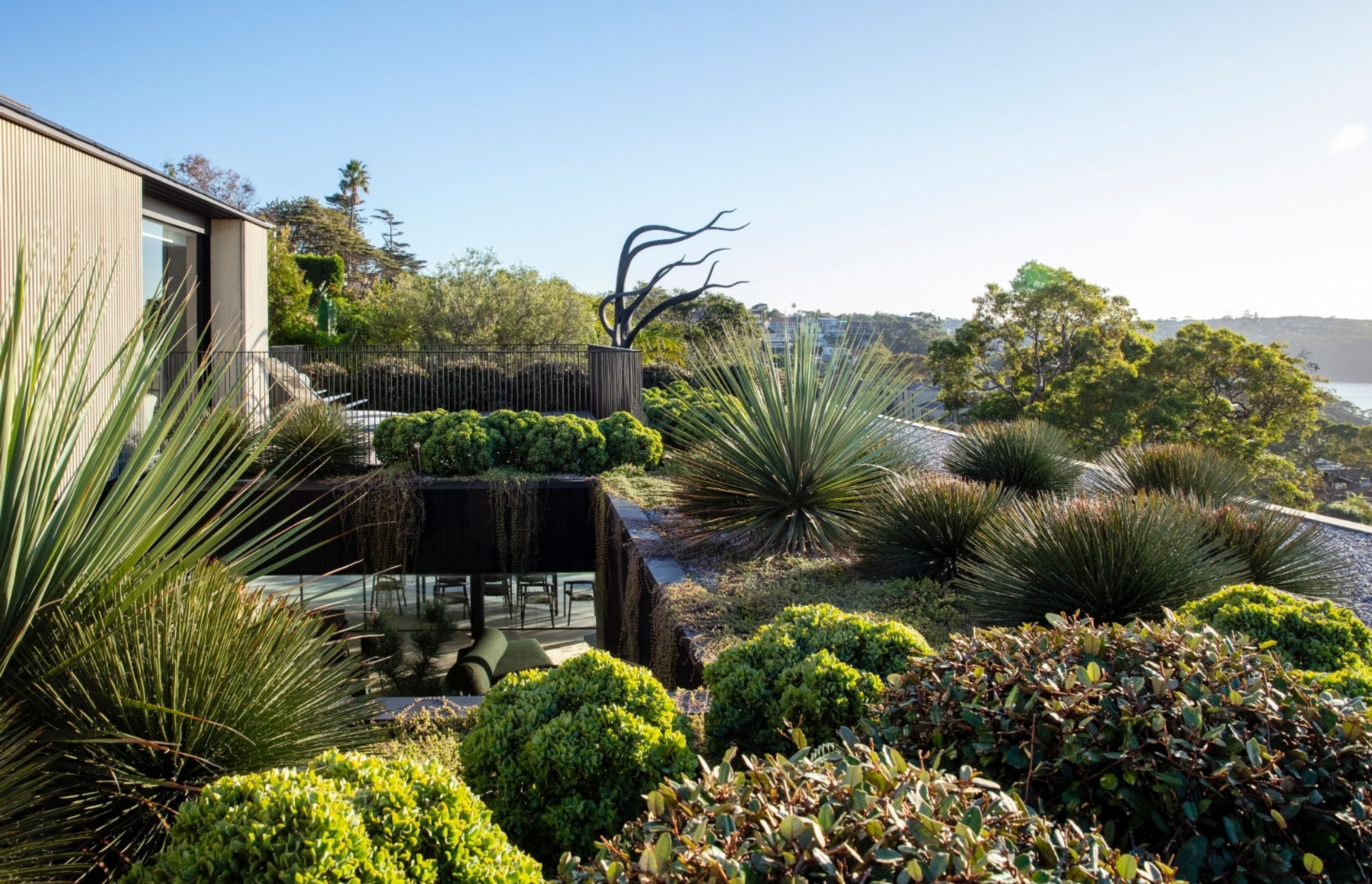 Sub Tropical Pleasure Gardens by Bates Landscape Design | ArchiPro AU