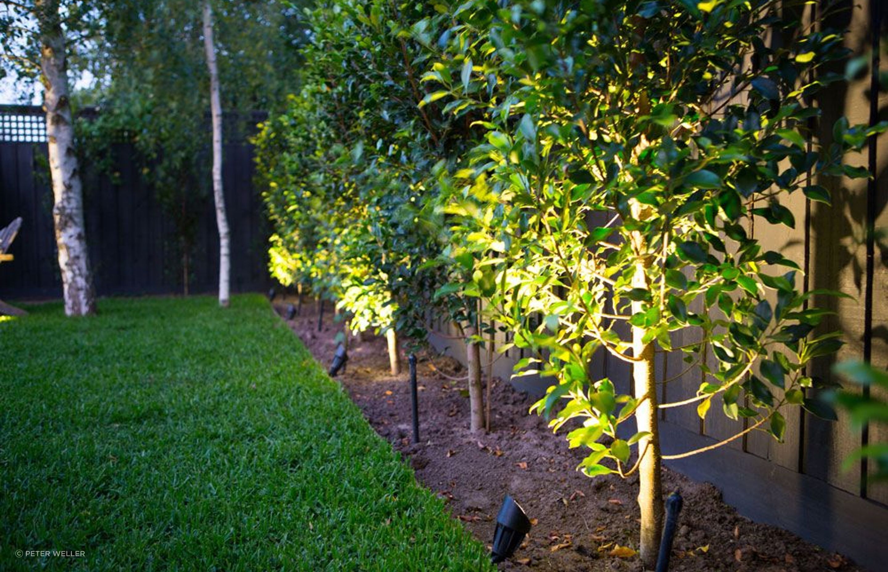 Malvern Three by Andrew Plant Landscapes | ArchiPro AU