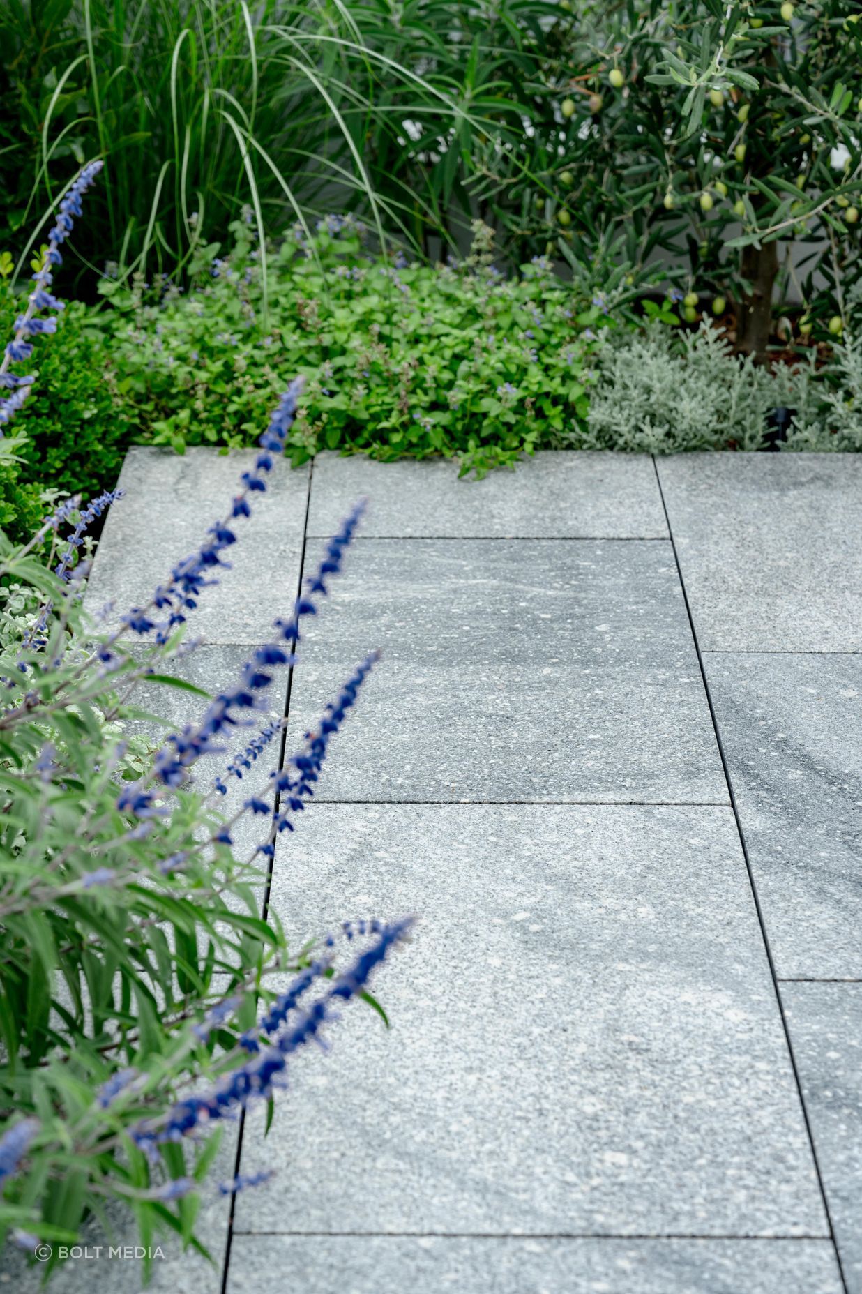 Balmoral Oasis by Sareen Stone | ArchiPro AU