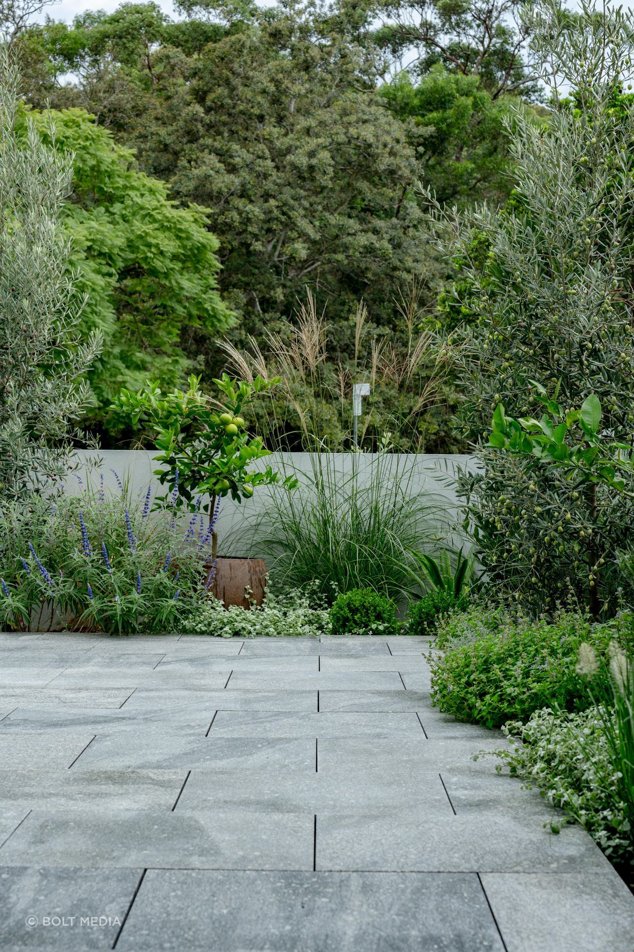 Balmoral Oasis by Sareen Stone | ArchiPro AU