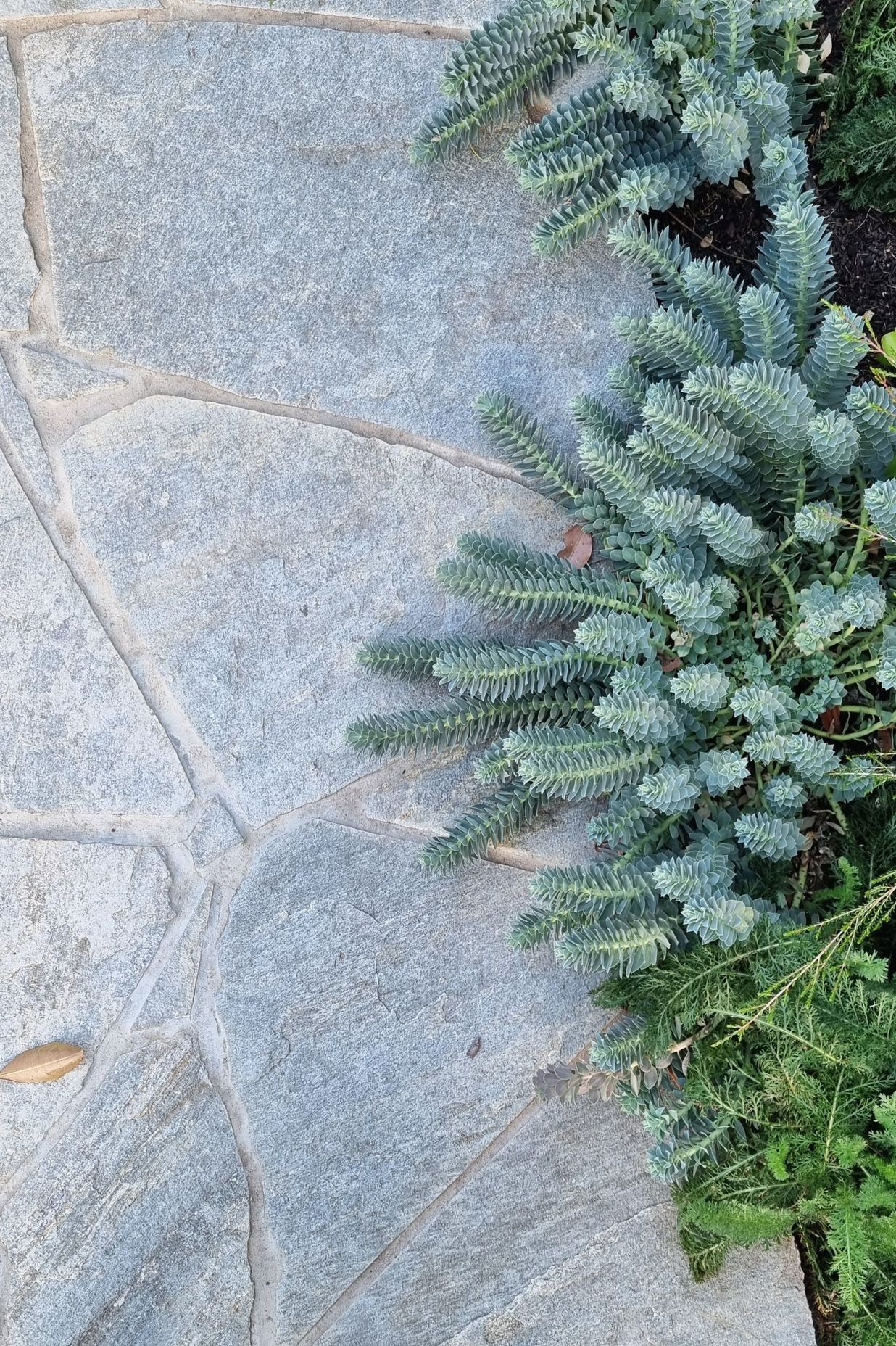 Xavier Hawthorn by Peachy Green | ArchiPro AU