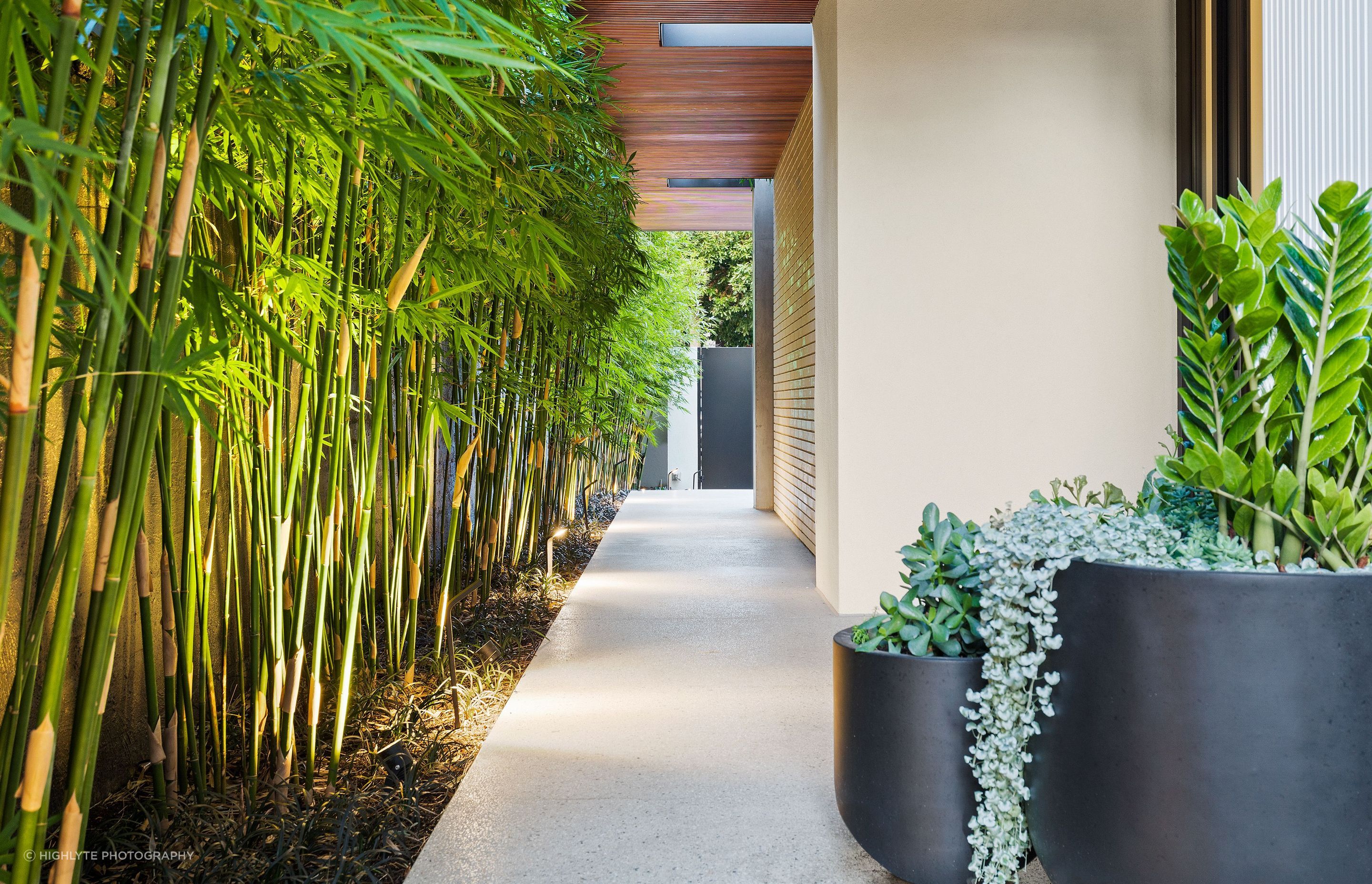 Howitt Road by COS Design | ArchiPro AU