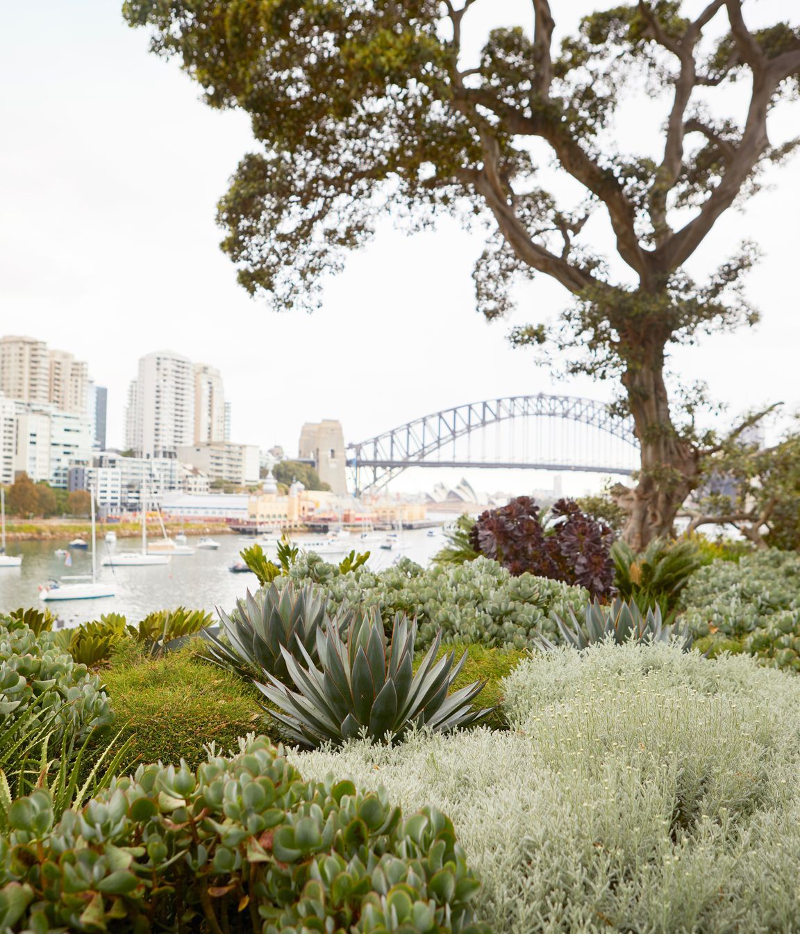 Lavender Bay by Outdoor Establishments | ArchiPro AU
