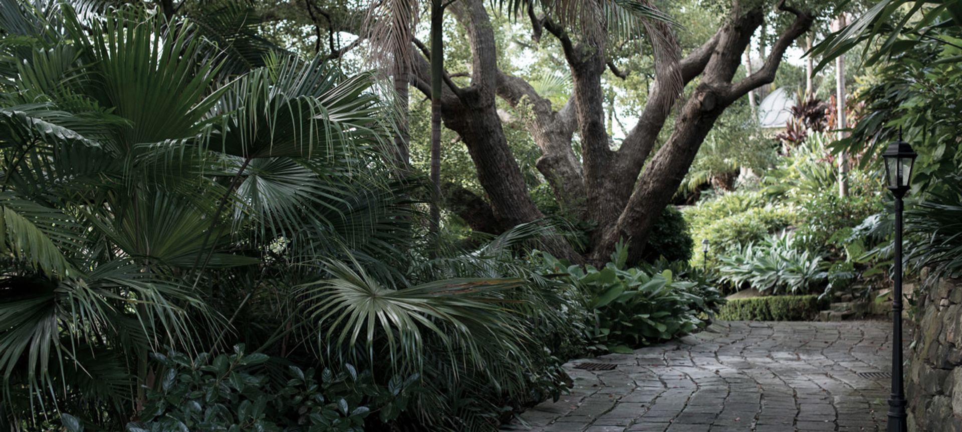 Balmain by Myles Baldwin Design | ArchiPro AU