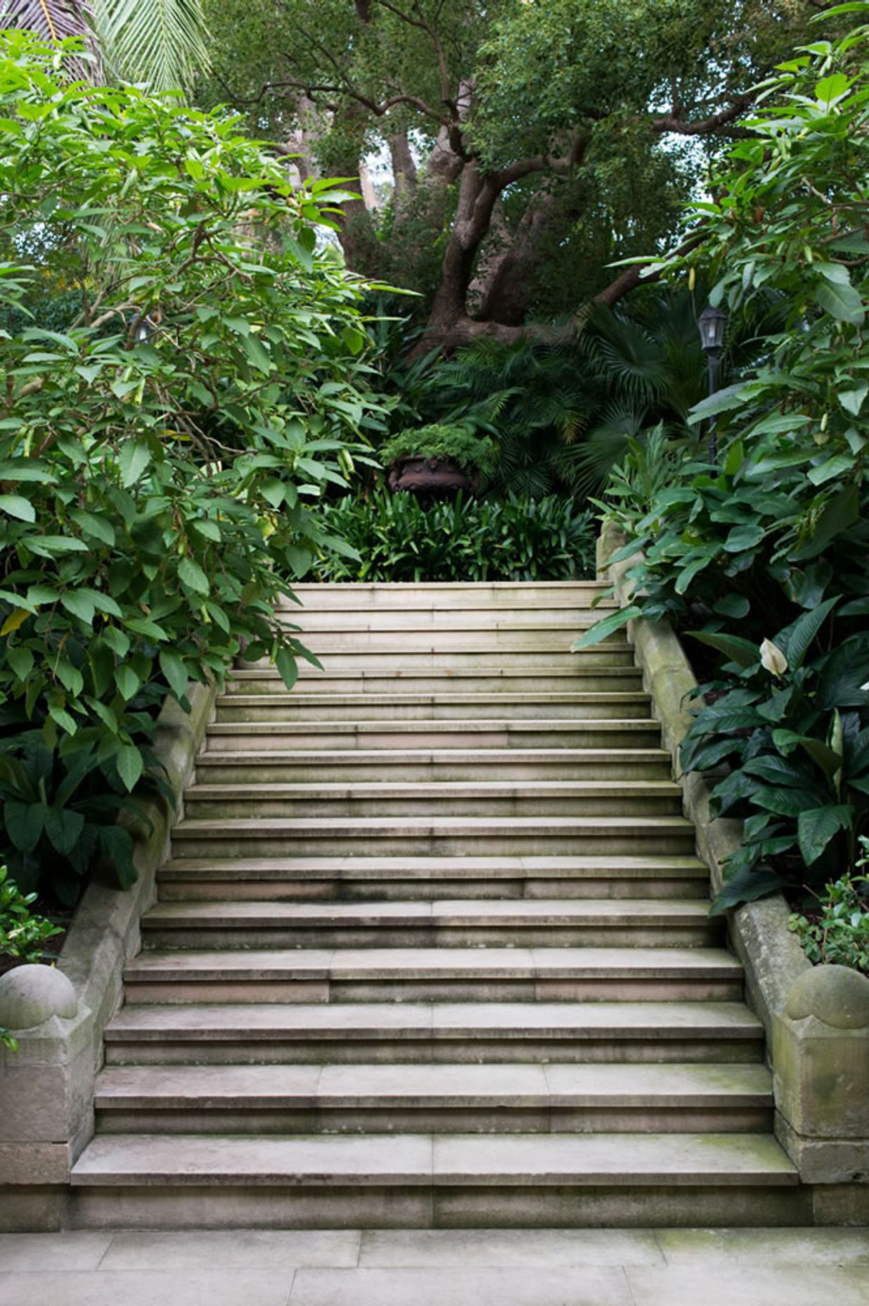 Balmain by Myles Baldwin Design | ArchiPro AU