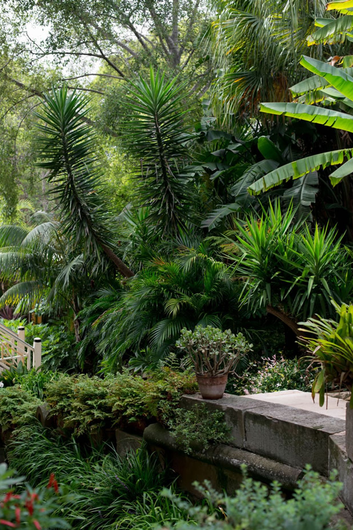 Balmain by Myles Baldwin Design | ArchiPro AU