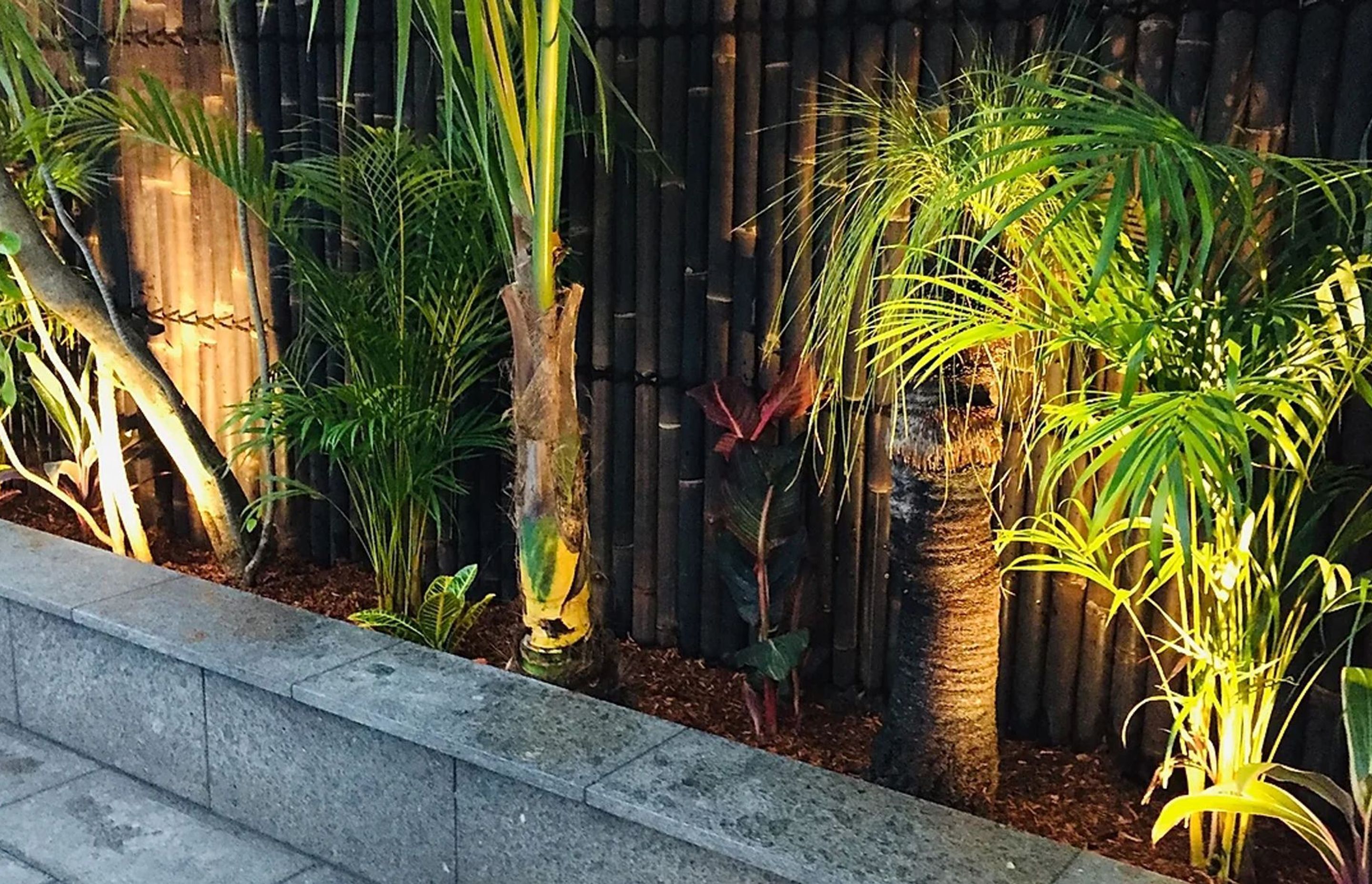 Bilgola Plateau by eg Landscapes | ArchiPro AU