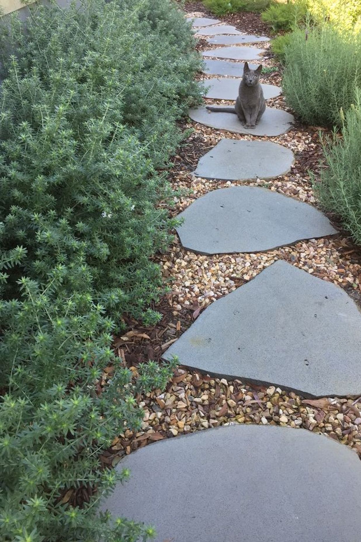 Beaumaris by Kelly Royle Landscape Architecture | ArchiPro AU