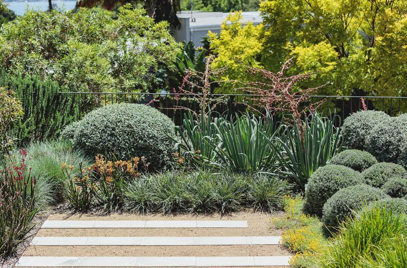 Melissa Wilson Landscape Architects | ArchiPro AU