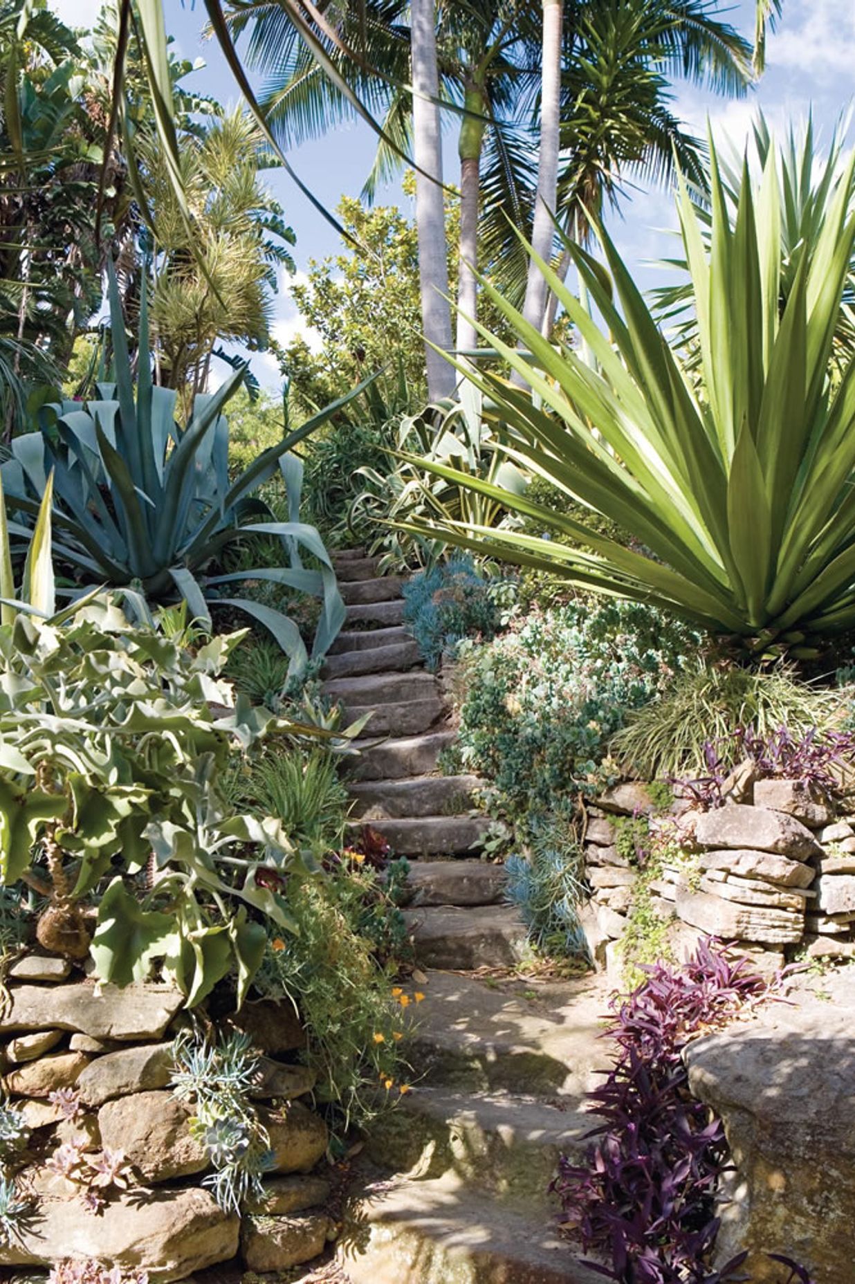 Bronte by Myles Baldwin Design | ArchiPro AU