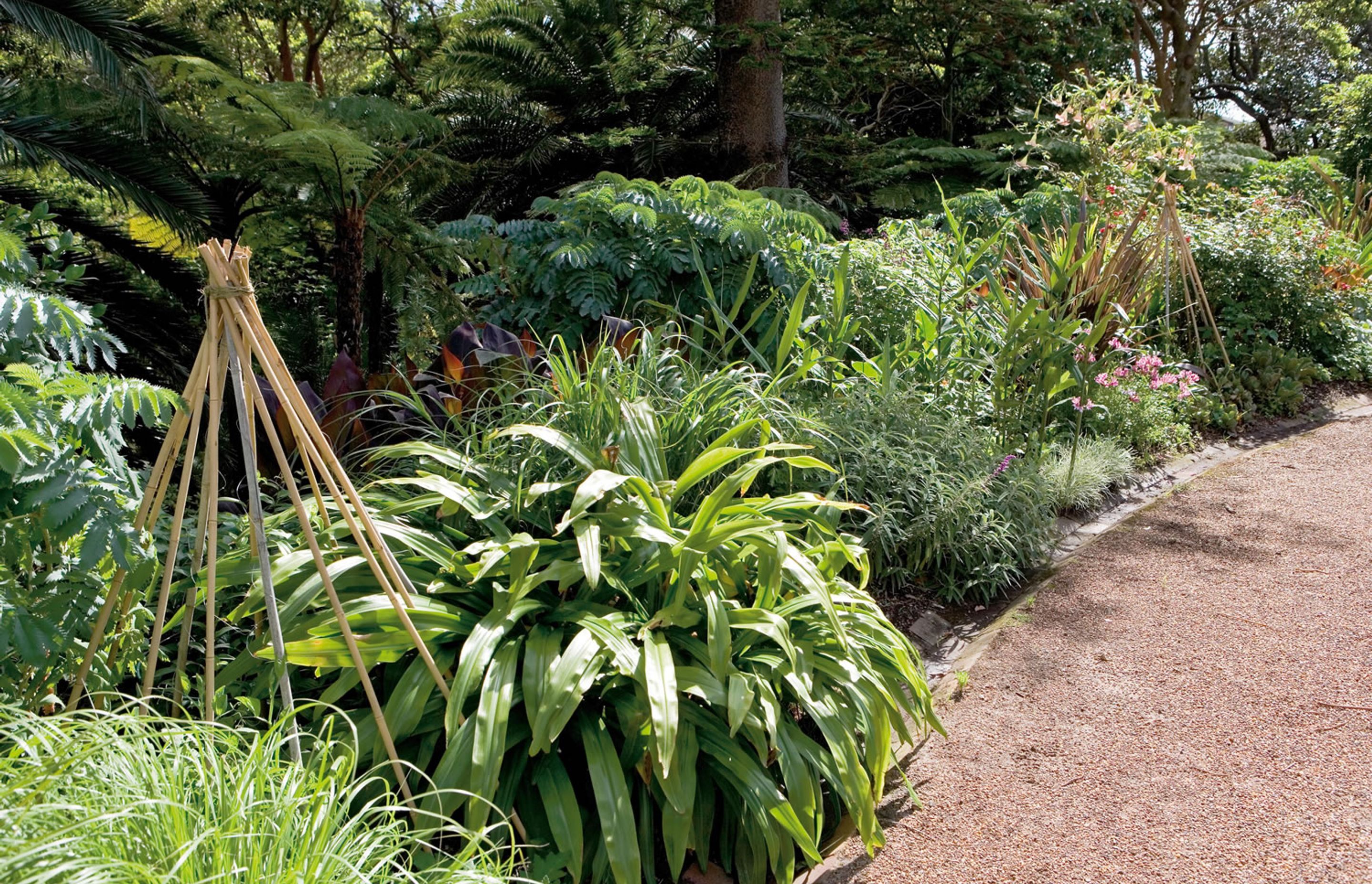 Bronte by Myles Baldwin Design | ArchiPro AU