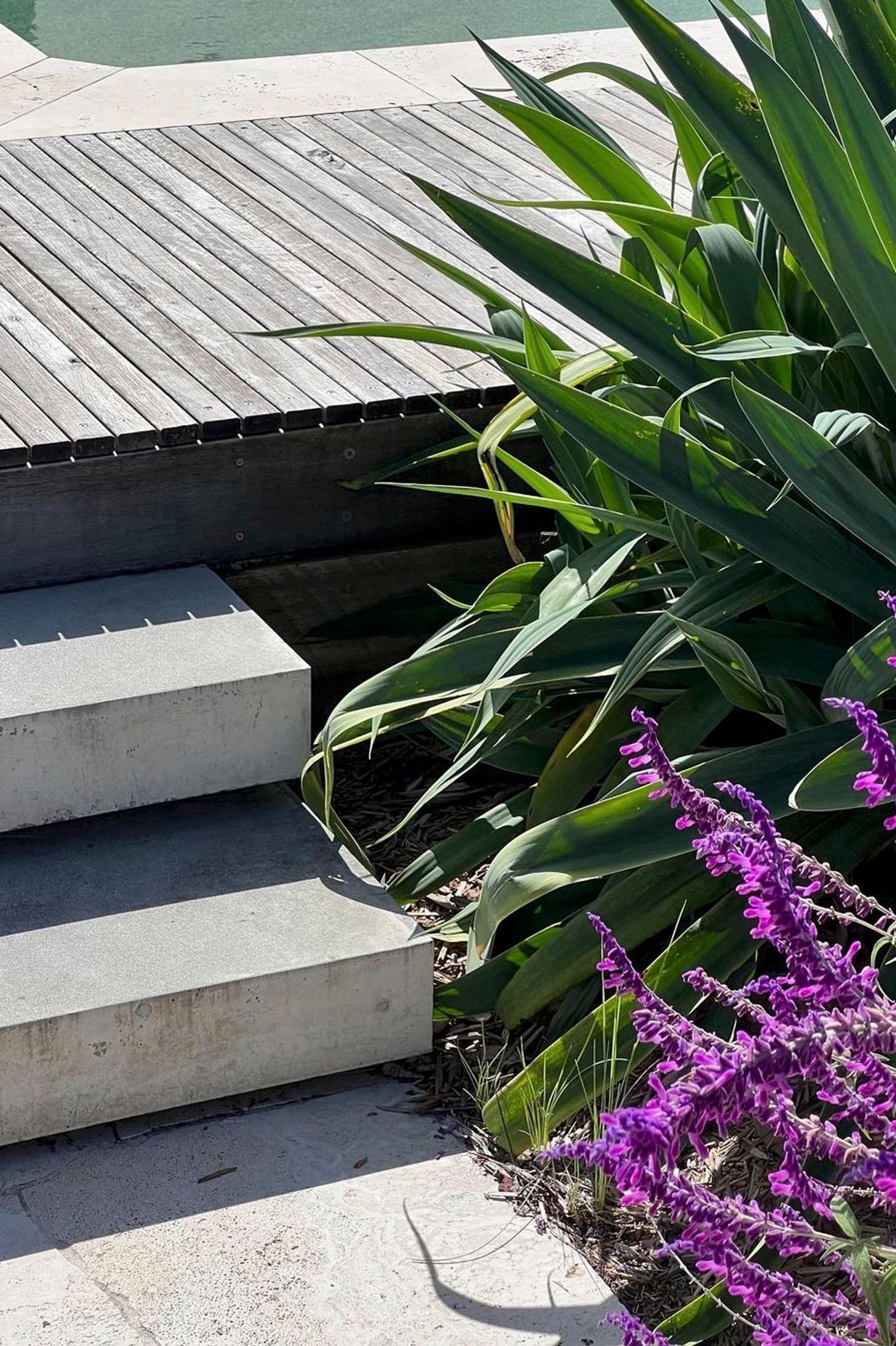 Carool by Nest Landscape Design | ArchiPro AU