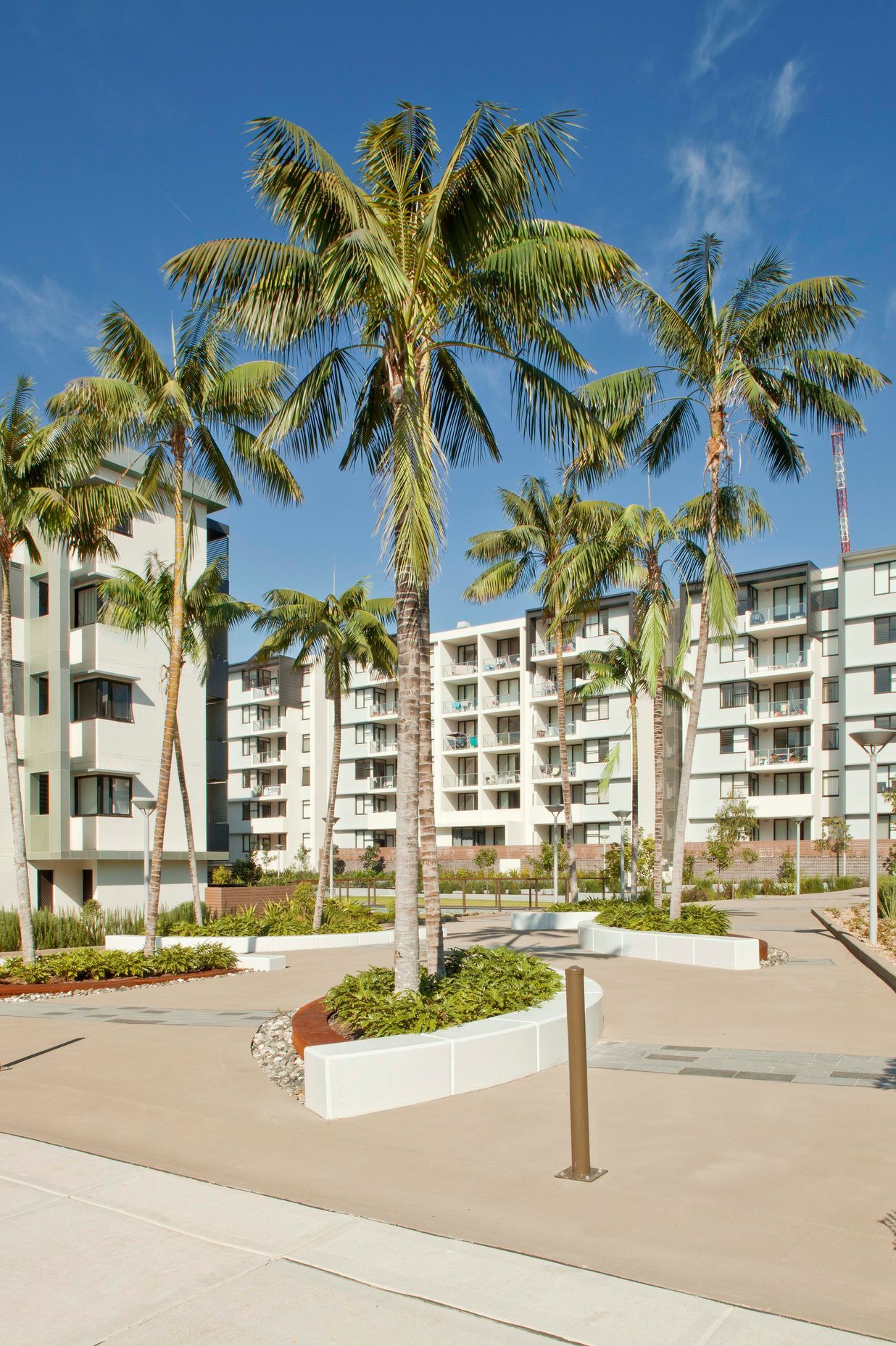 Clemton Park Residential by Umbaco Landscape Architects | ArchiPro AU