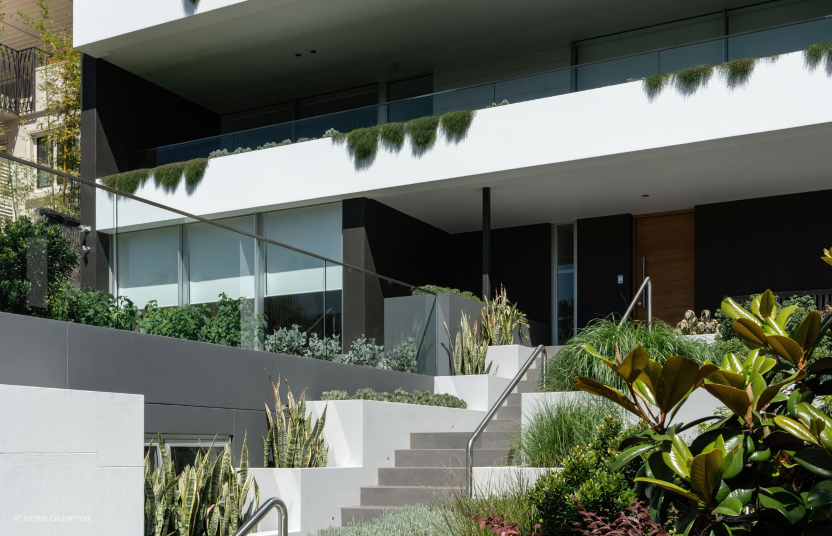 Mosman Project by Contour Landscape Architecture | ArchiPro AU