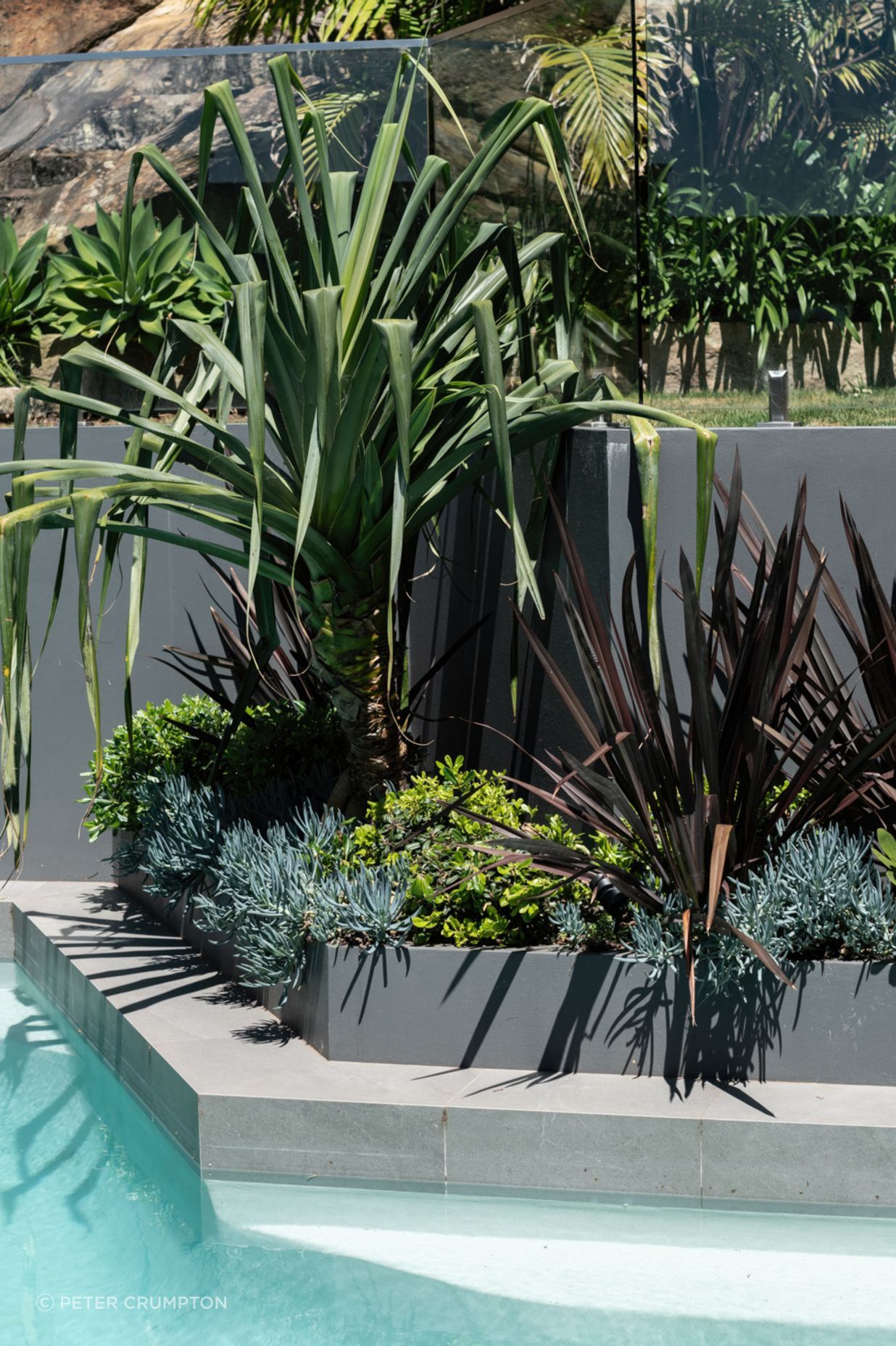 Mosman Project by Contour Landscape Architecture | ArchiPro AU