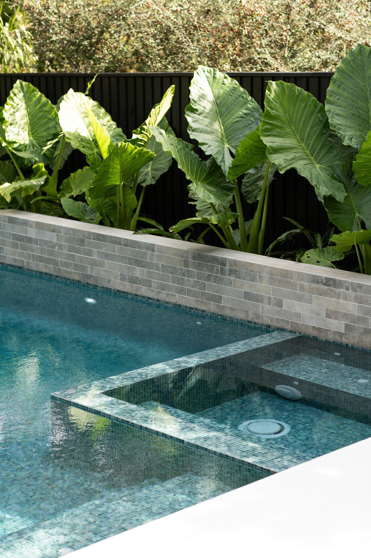 Wet Edge Pool by Space Landscape Designs | ArchiPro AU