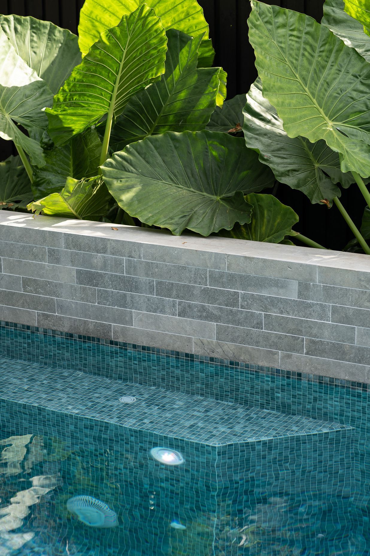 Wet Edge Pool by Space Landscape Designs | ArchiPro AU