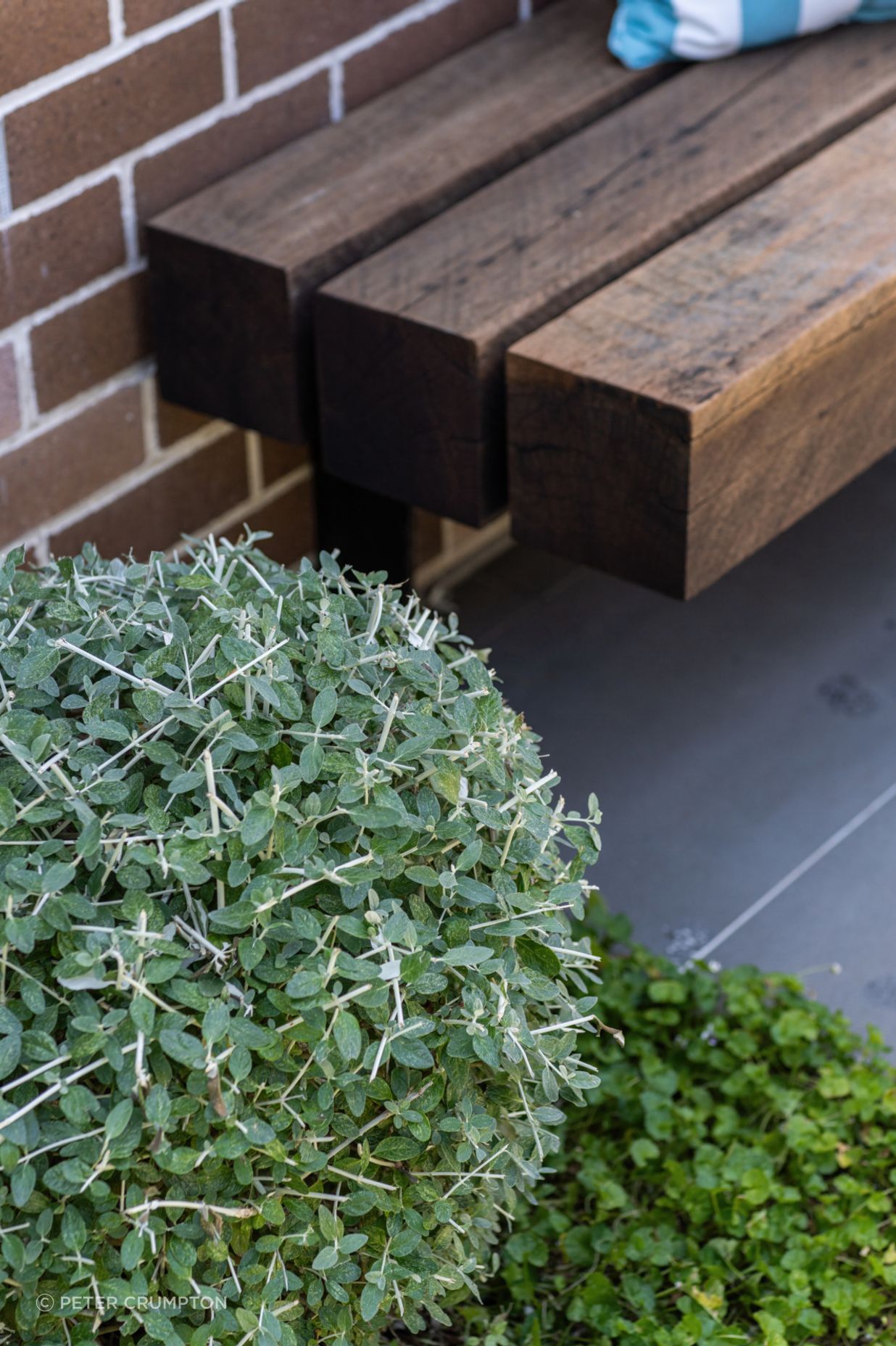 Haberfield Project by Contour Landscape Architecture | ArchiPro AU