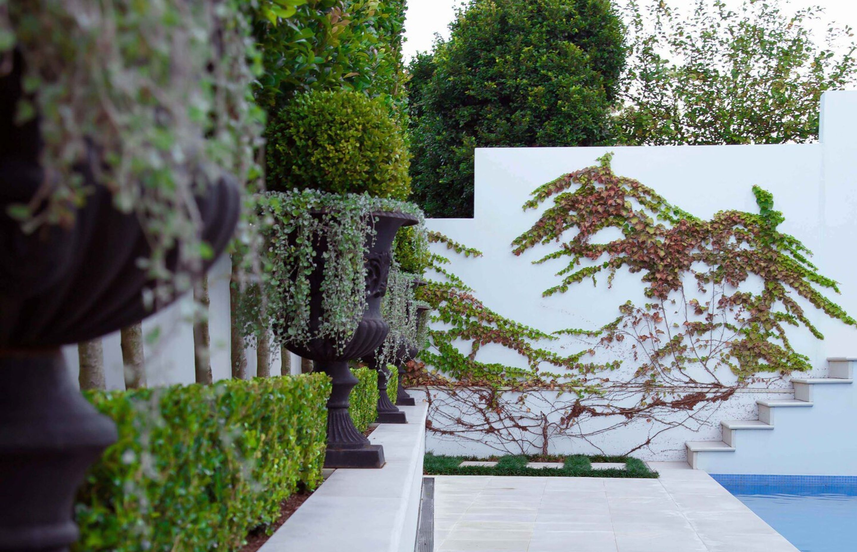 Jardin Bonnie-doone by Impressions Landscape Design | ArchiPro AU