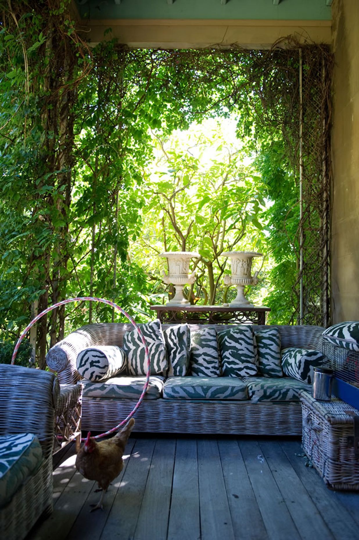 Glebe by Myles Baldwin Design | ArchiPro AU