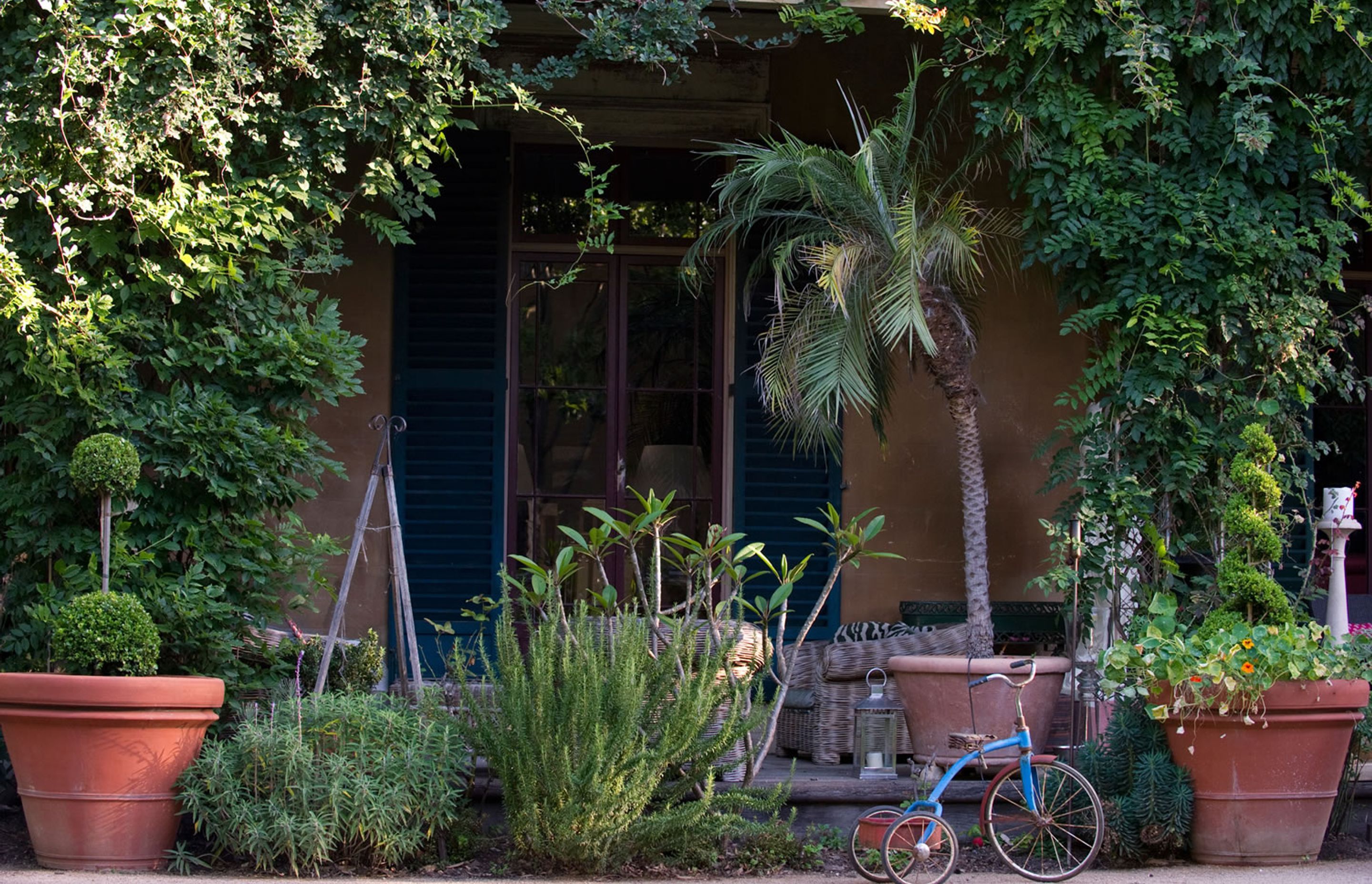 Glebe by Myles Baldwin Design | ArchiPro AU