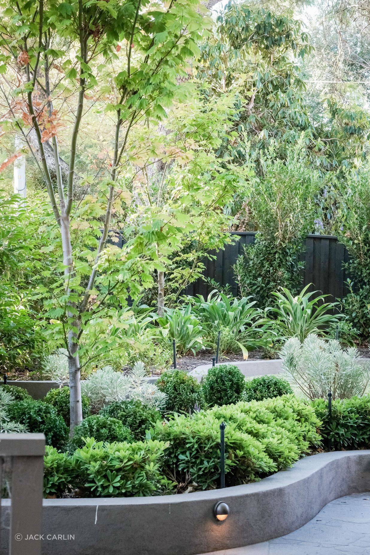 Malvern Four by Andrew Plant Landscapes | ArchiPro AU