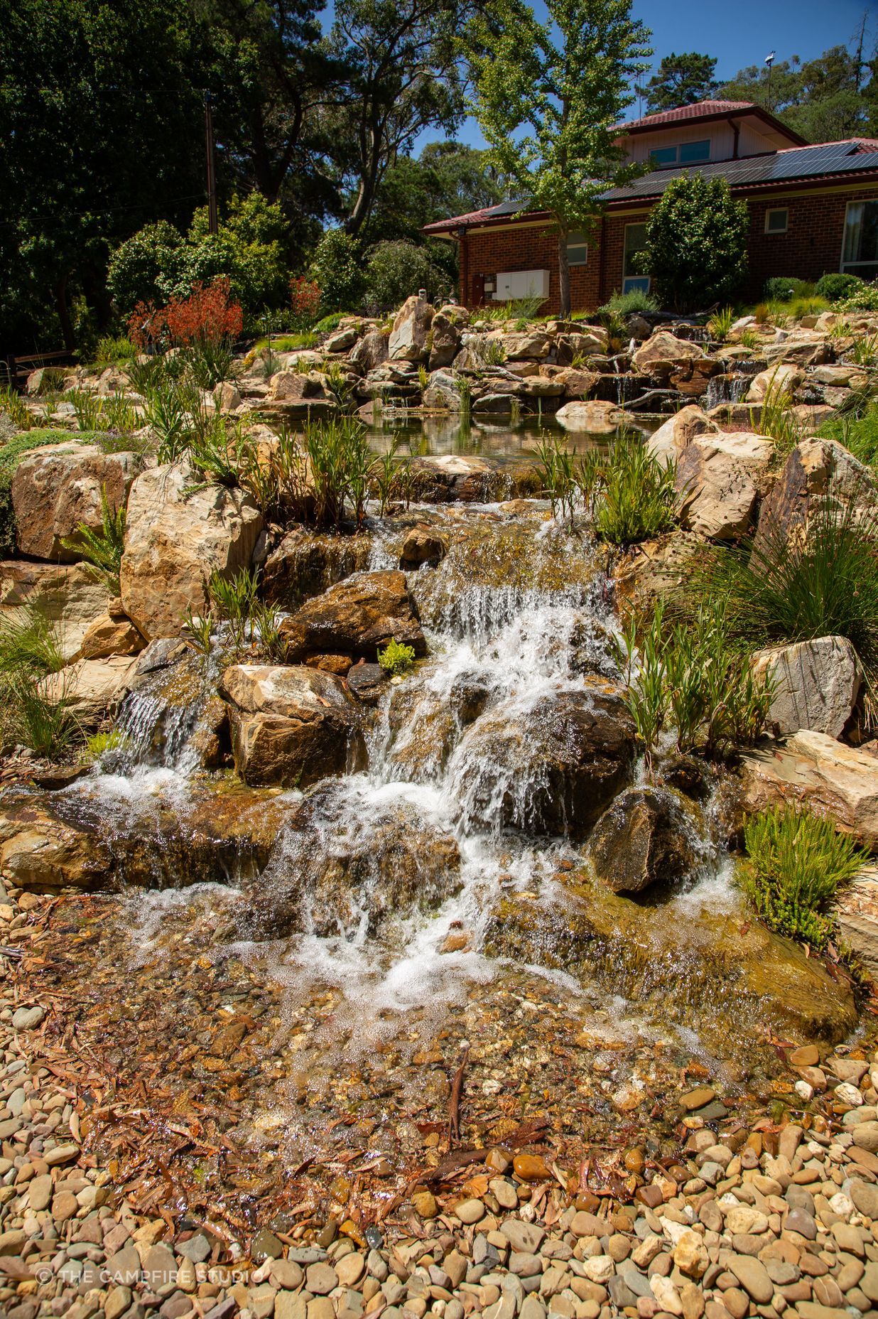 Crafers Aquatic Habitat by SA Waterscapes | ArchiPro AU