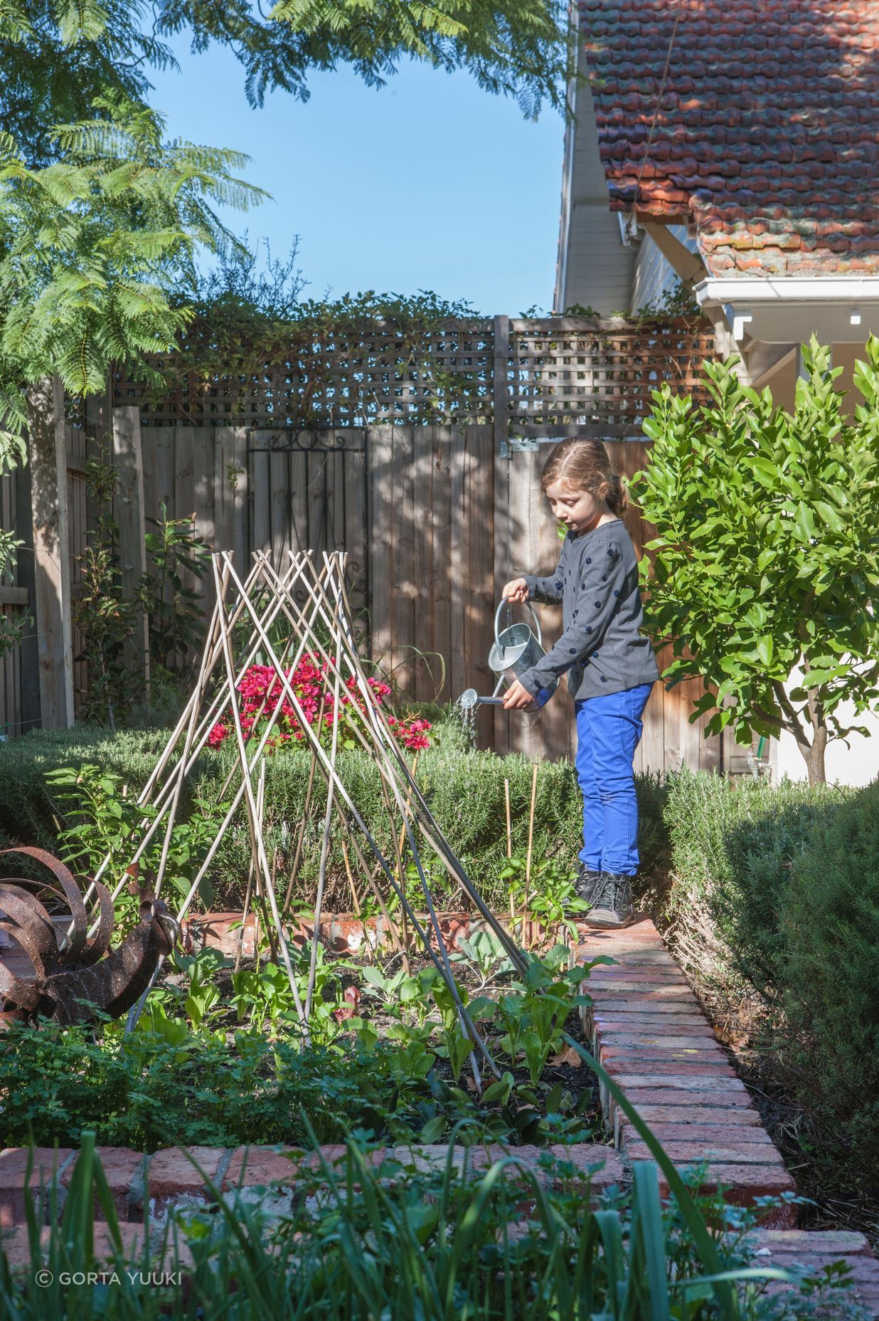 Highett by Lisa Harper Designs | ArchiPro AU