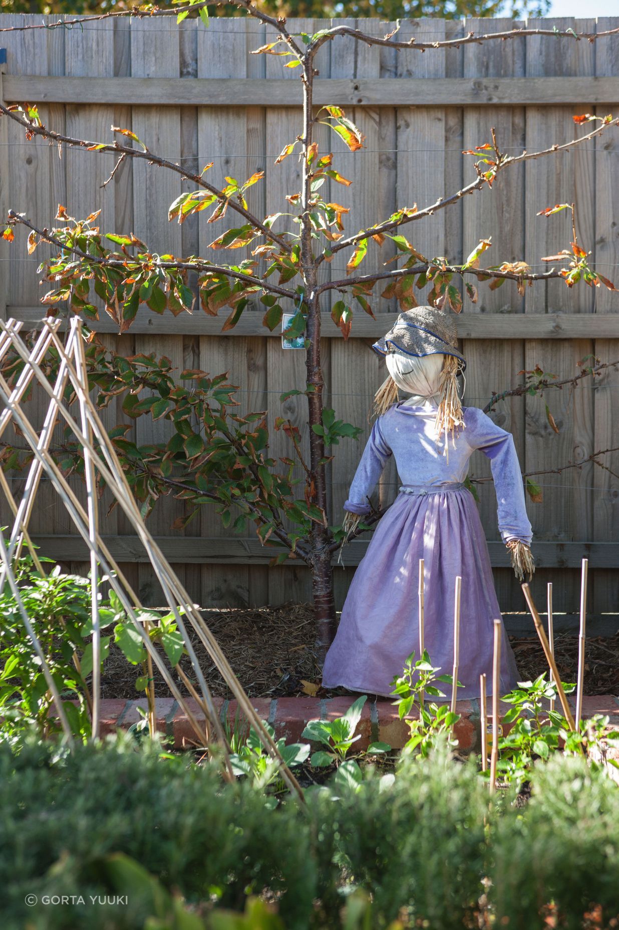 Highett by Lisa Harper Designs | ArchiPro AU