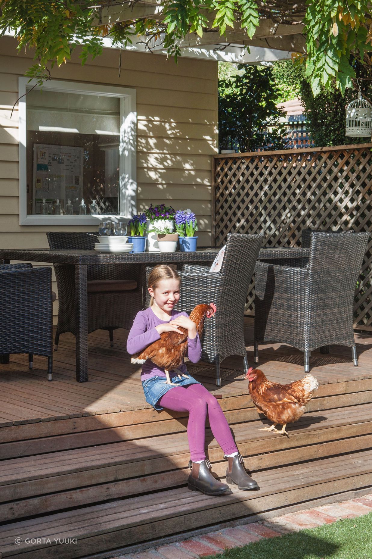 Highett by Lisa Harper Designs | ArchiPro AU