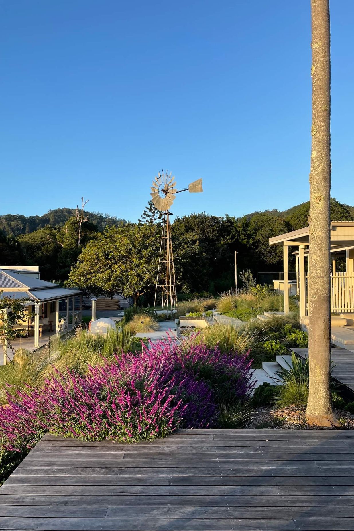 Carool by Nest Landscape Design | ArchiPro AU