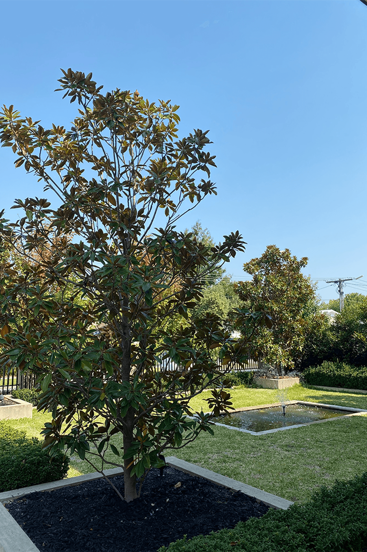 Bentleigh East by Lisa Harper Designs | ArchiPro AU