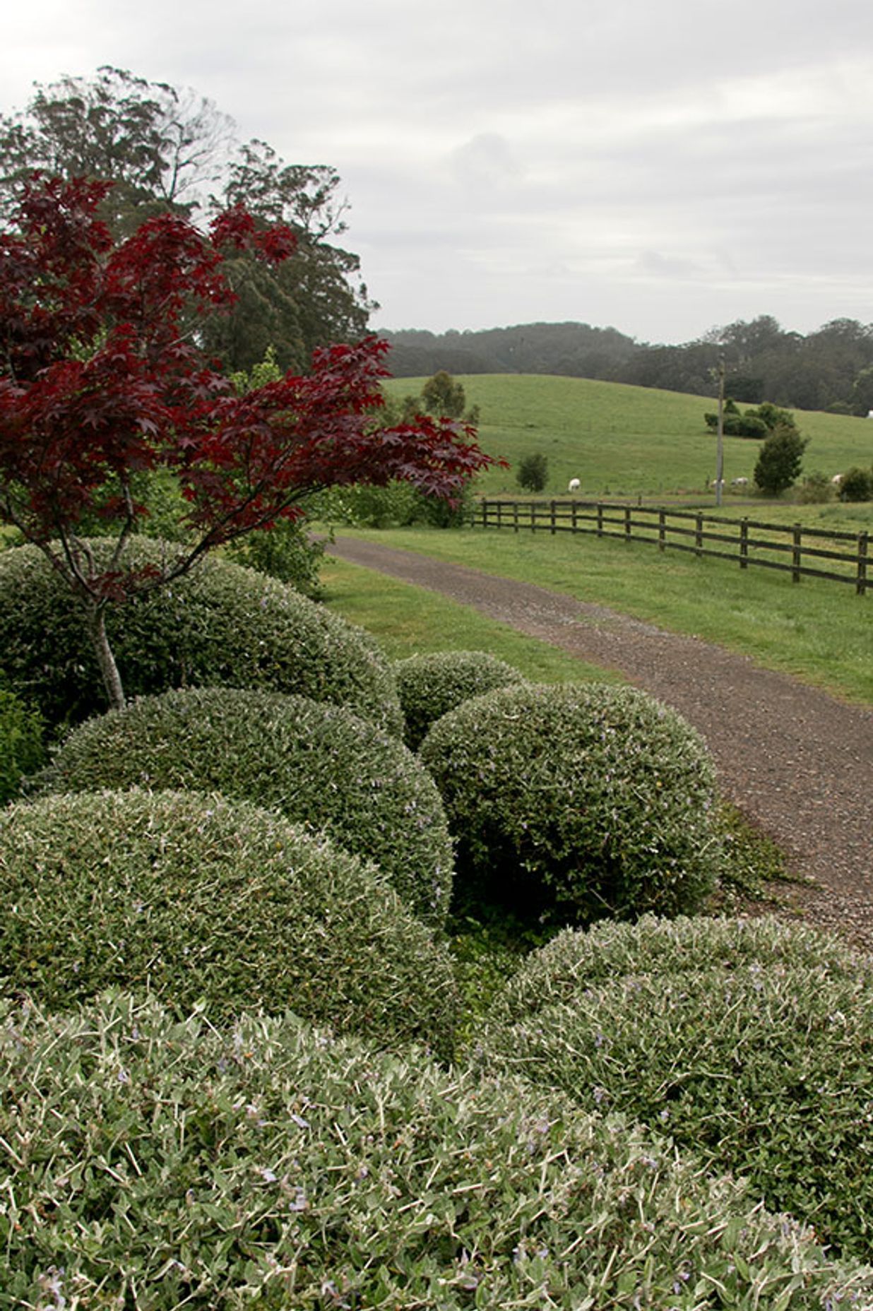 Kangaloon by Myles Baldwin Design | ArchiPro AU