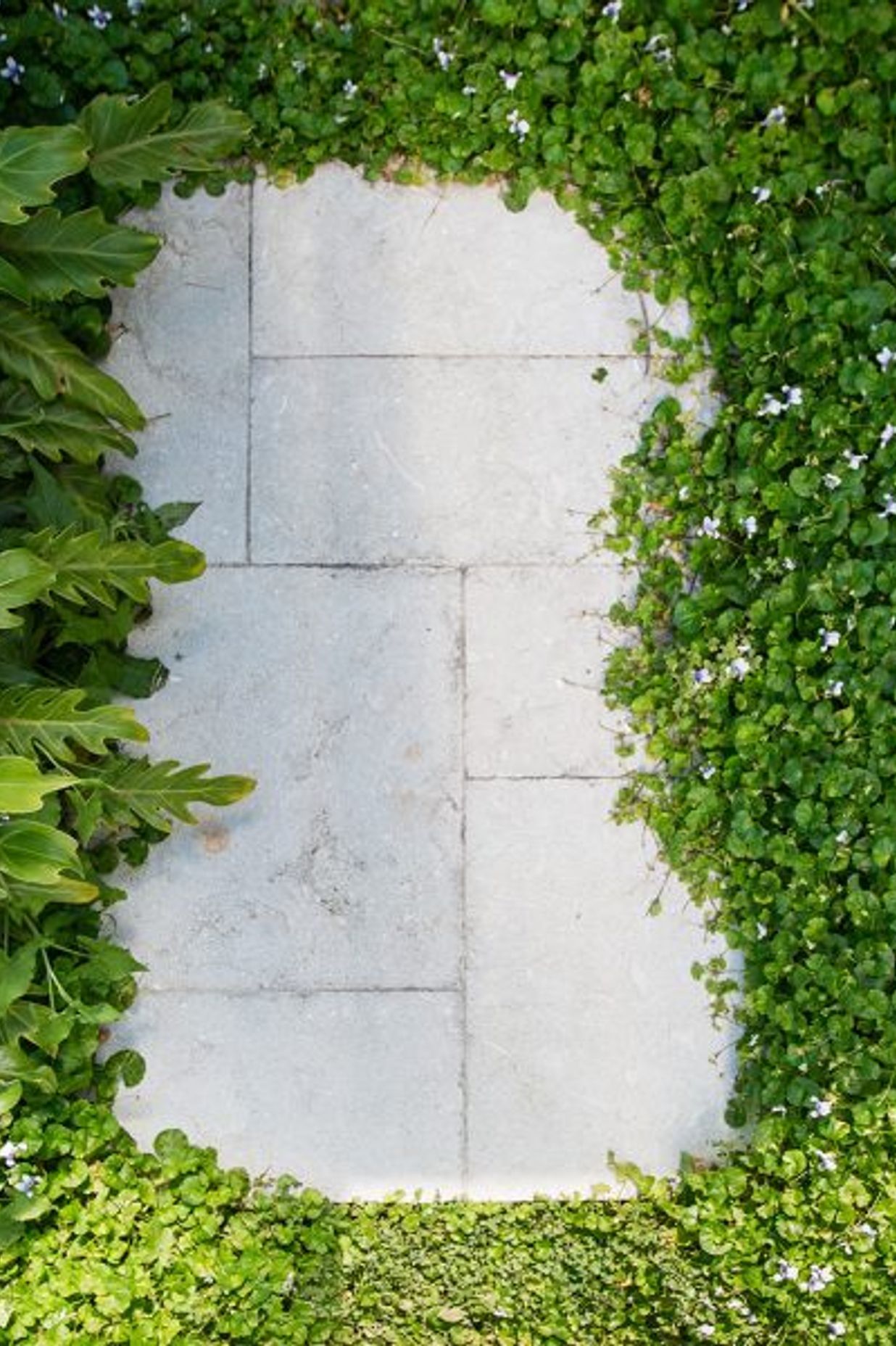 Kingsford by Stone Lotus Landscapes Pty Ltd | ArchiPro AU