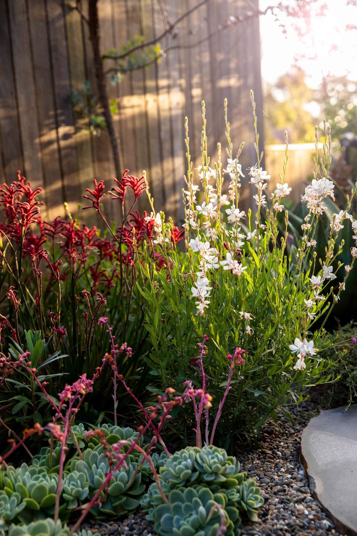 Cascade Garden by Landsberg Garden Design | ArchiPro AU