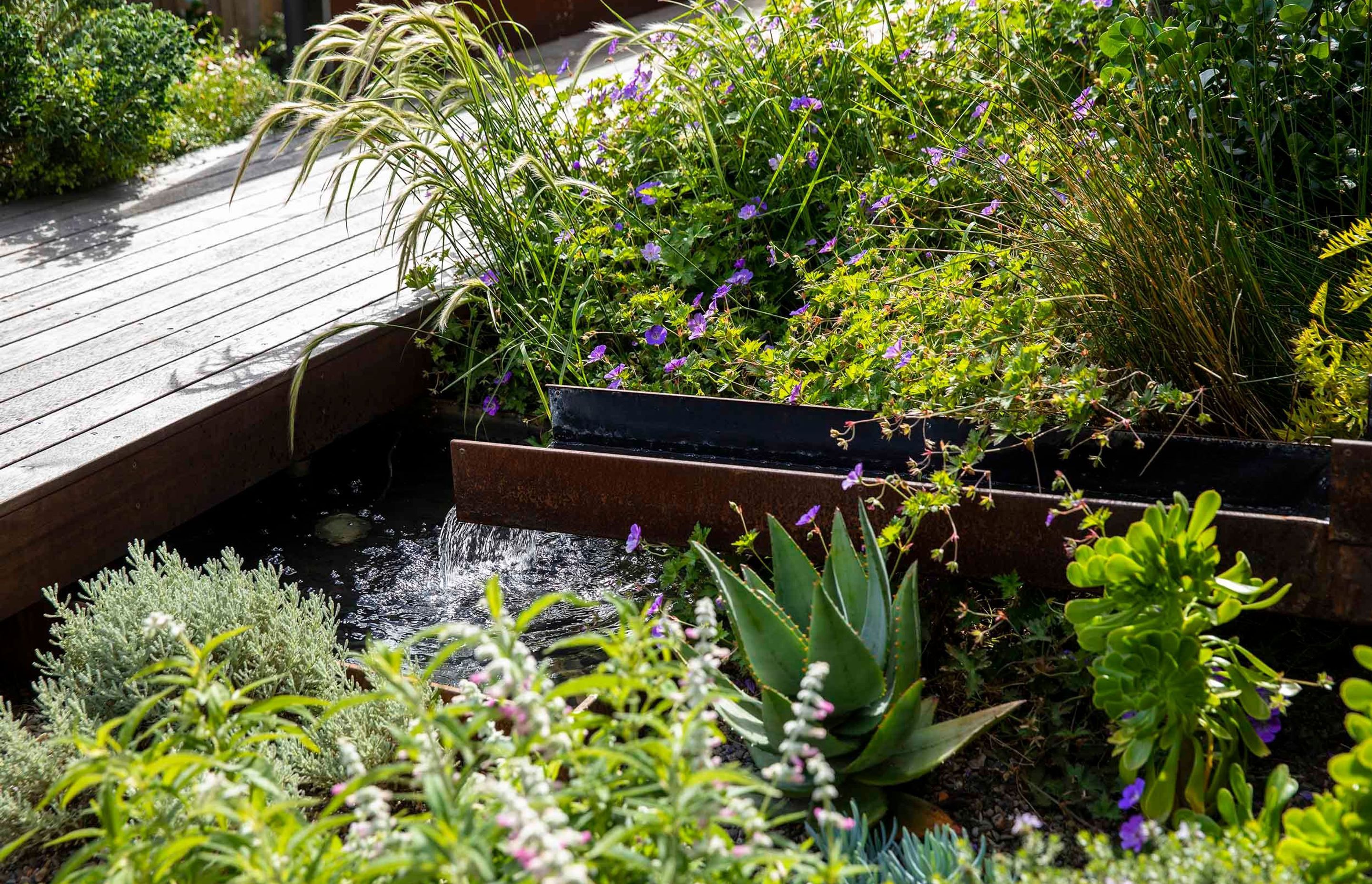 Cascade Garden by Landsberg Garden Design | ArchiPro AU