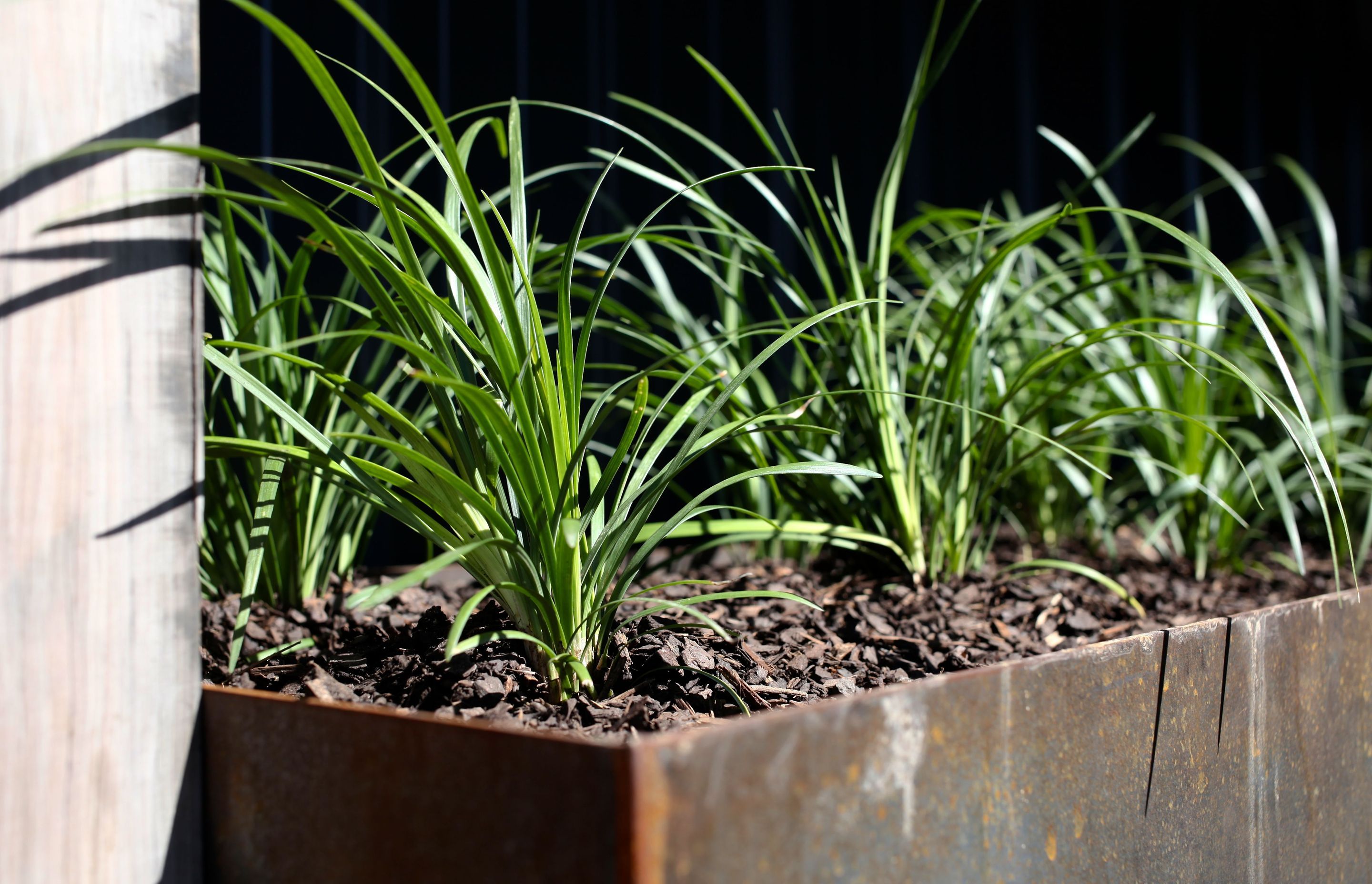 Jasper Hill Garden by Thomson Hay Landscape Architects | ArchiPro AU