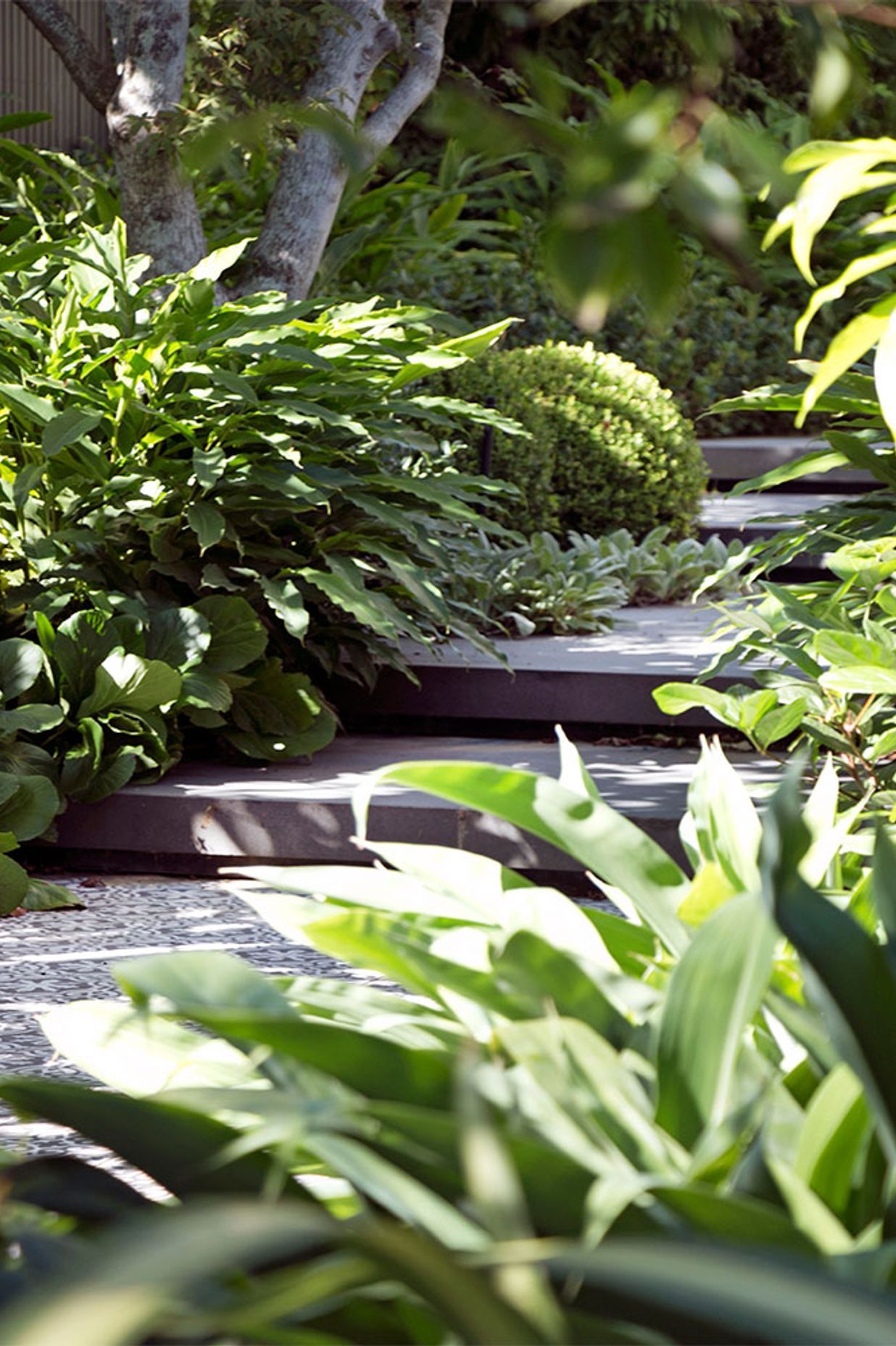 Toorak by Myles Baldwin Design | ArchiPro AU