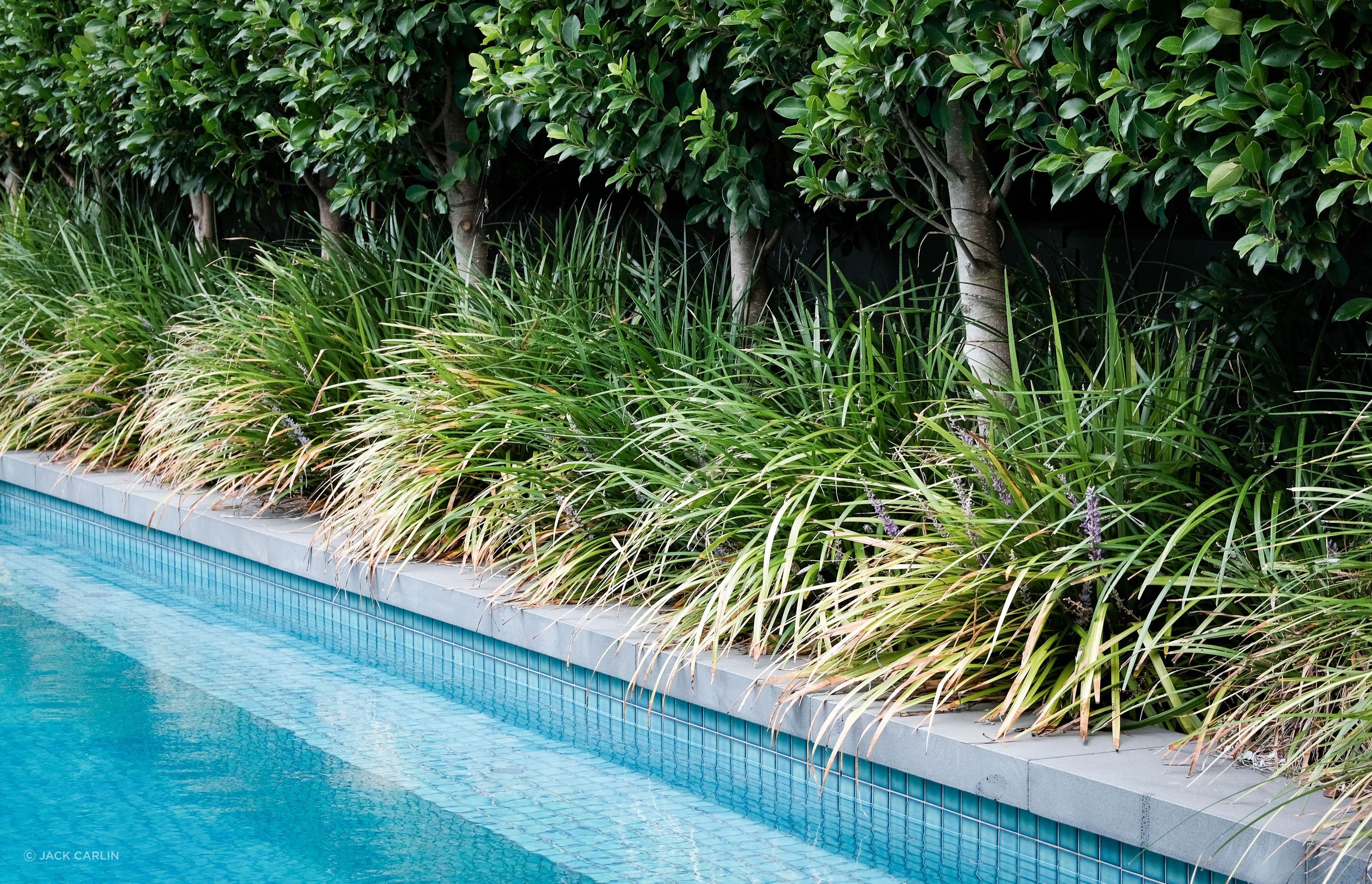 Kew East by Andrew Plant Landscapes | ArchiPro AU