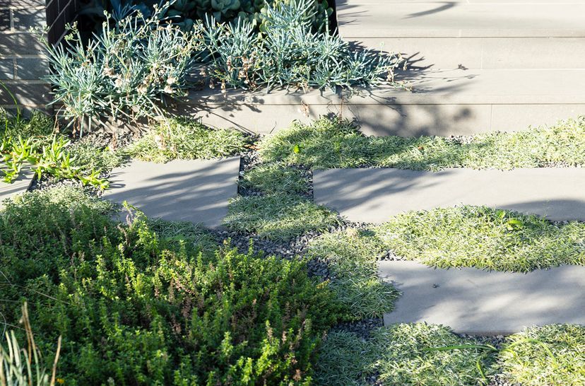 Melissa Wilson Landscape Architects | ArchiPro AU