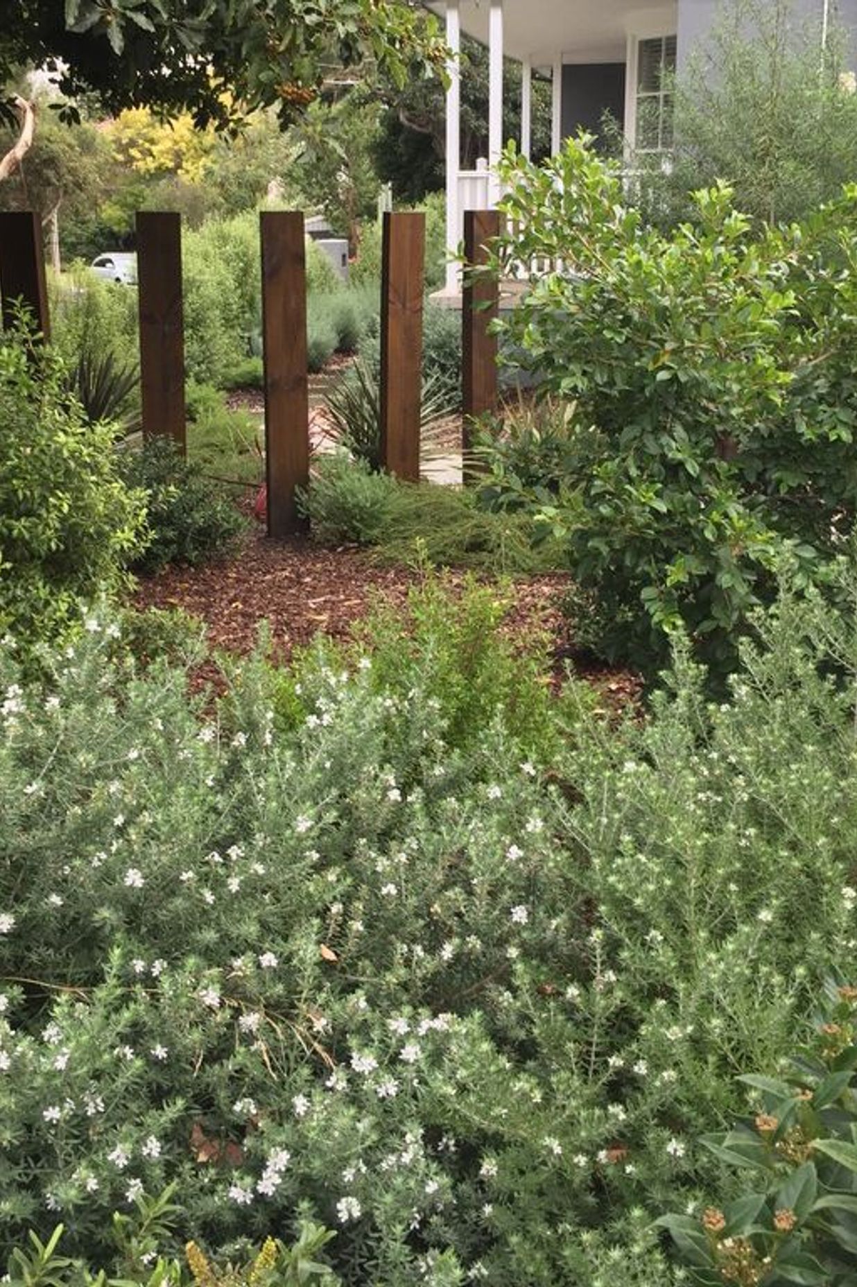 Beaumaris by Kelly Royle Landscape Architecture | ArchiPro AU